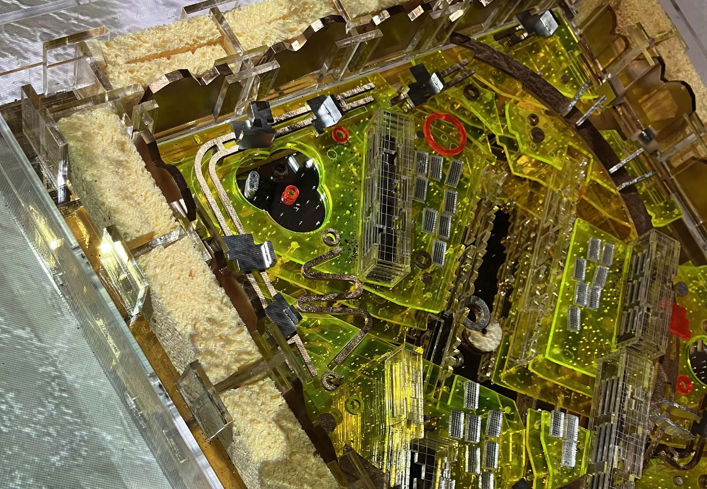 Jiawei Fan Y4 — Smout Allen