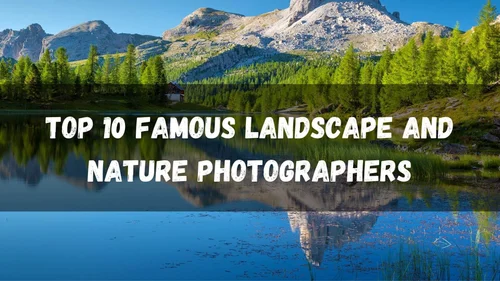 Famous Nature Photographers Work