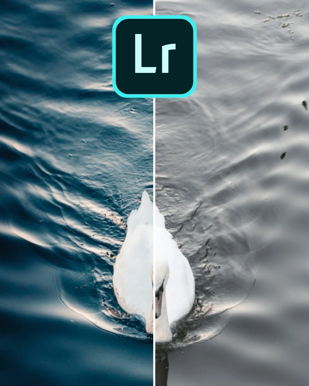 Essential Travel Photography Tips for Beginners: A Comprehensive Guide ...