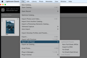Mastering Lightroom Export Settings for Instagram: A Step-by-Step Guide ...