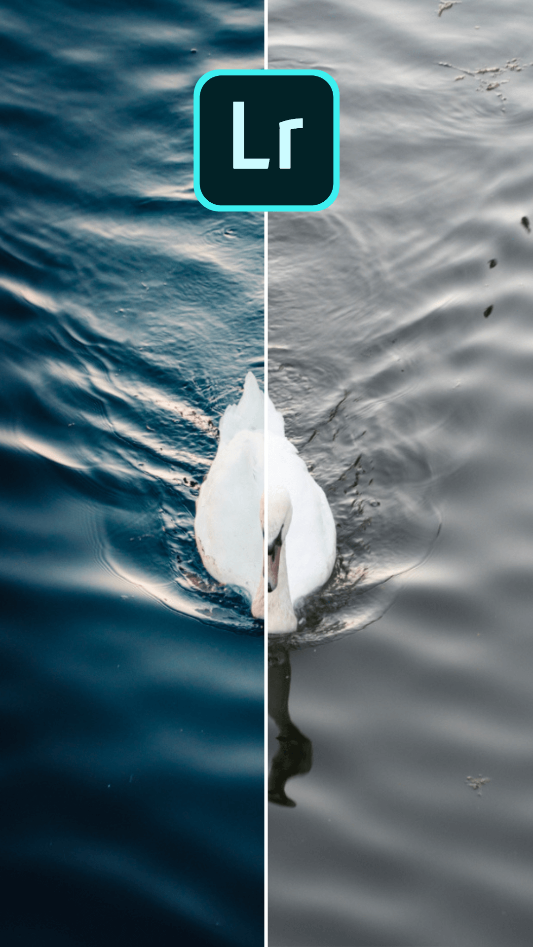 Mastering Photo Editing on Tablet: Unleash Your Creativity Anywhere ...