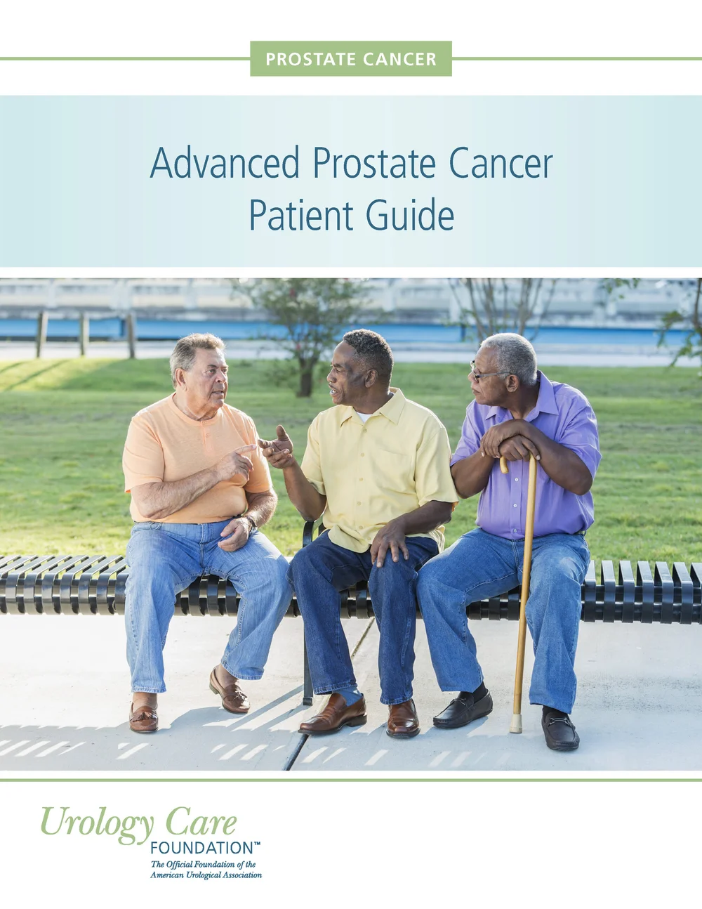 Prostate Cancer Treatment Options-The Prostate Cancer Research Institute
