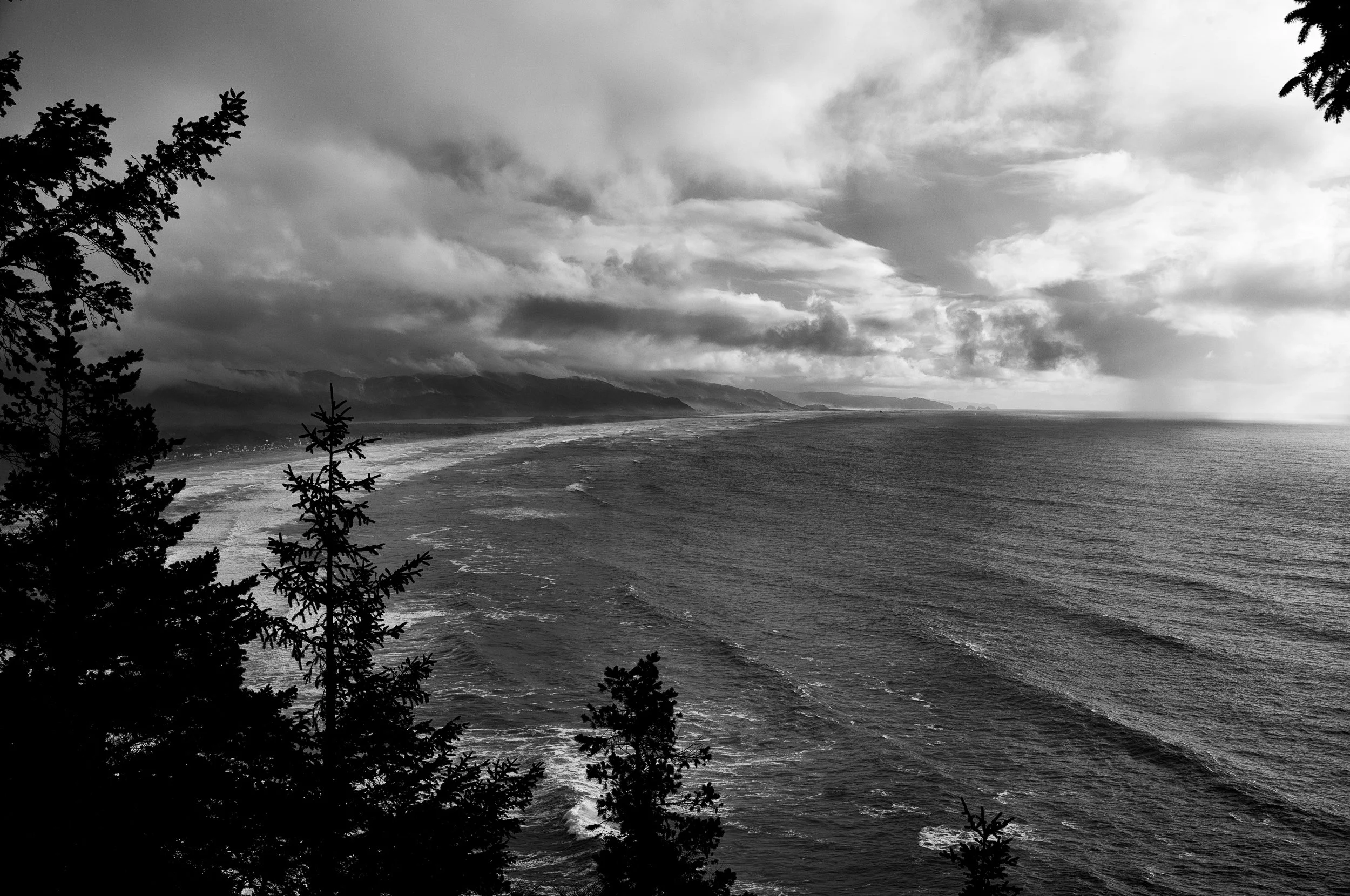 Oregon 2024 — Andrew Wyllie