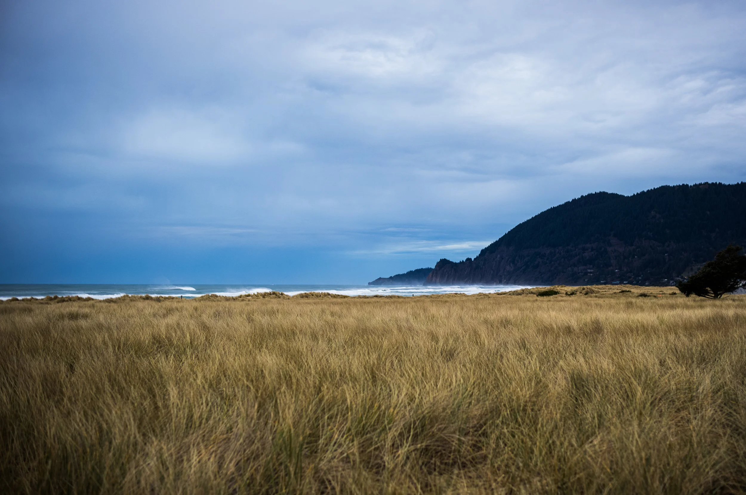 Oregon 2024 — Andrew Wyllie