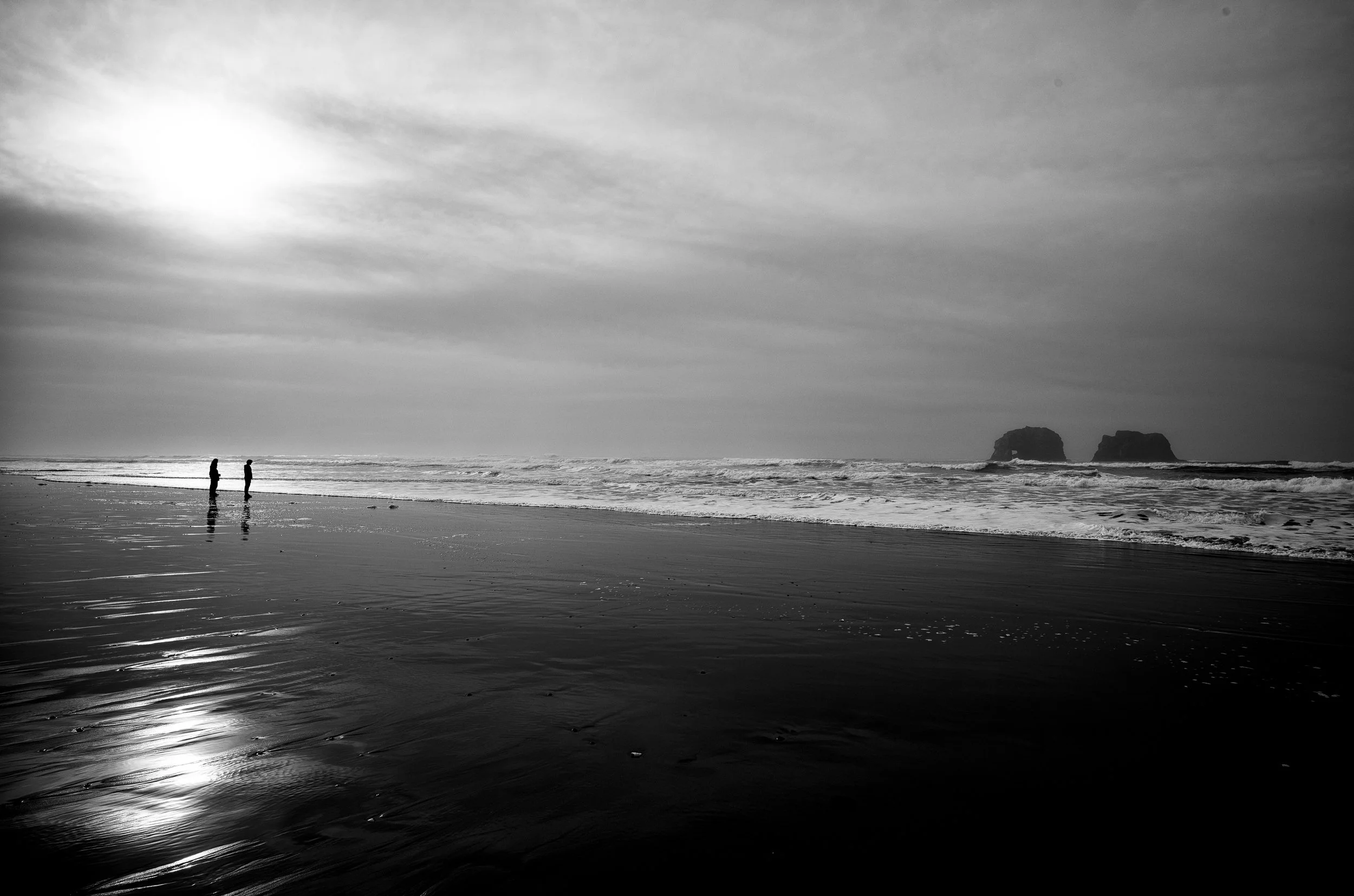 Oregon 2024 — Andrew Wyllie