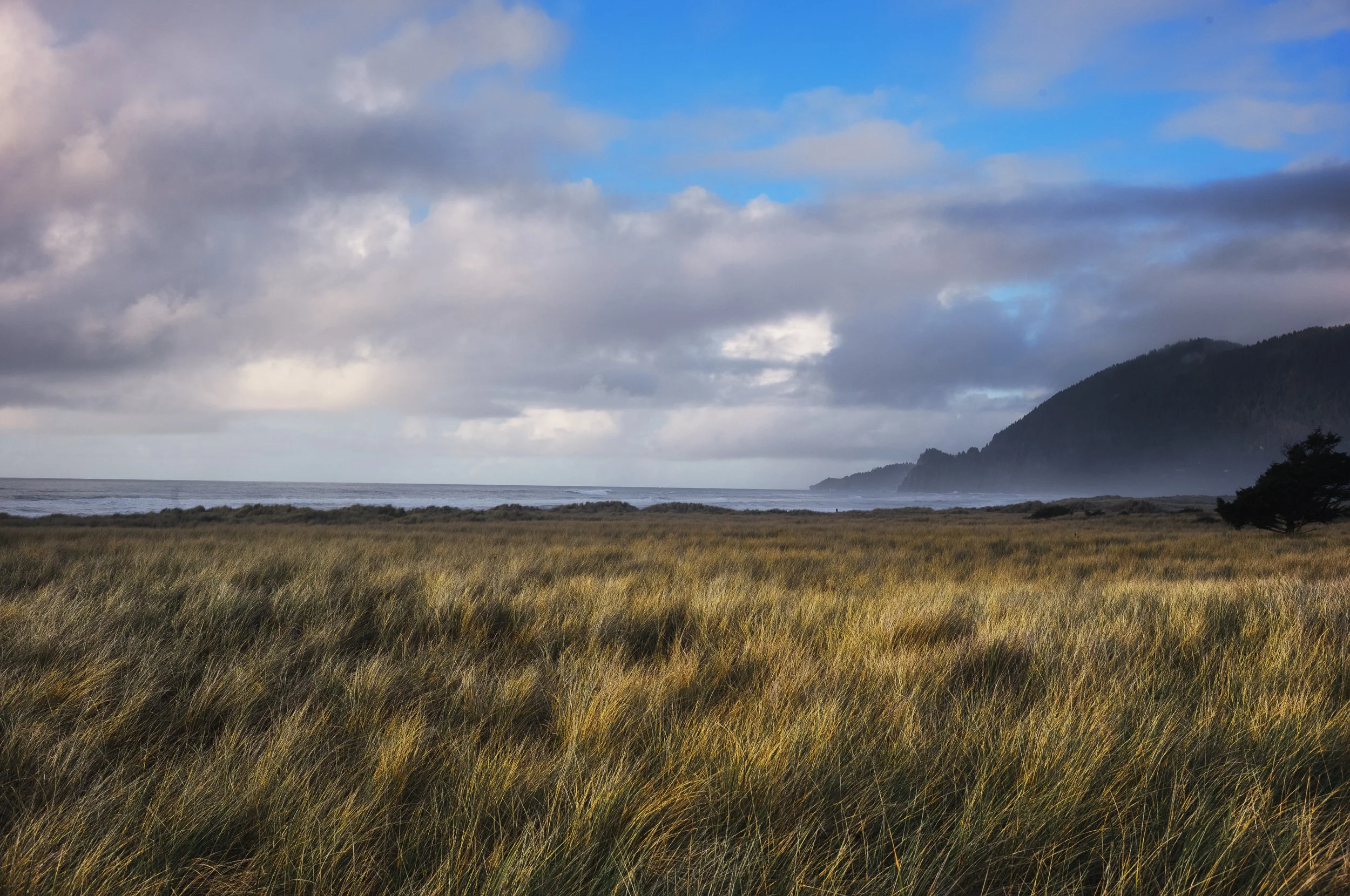 Oregon 2024 — Andrew Wyllie