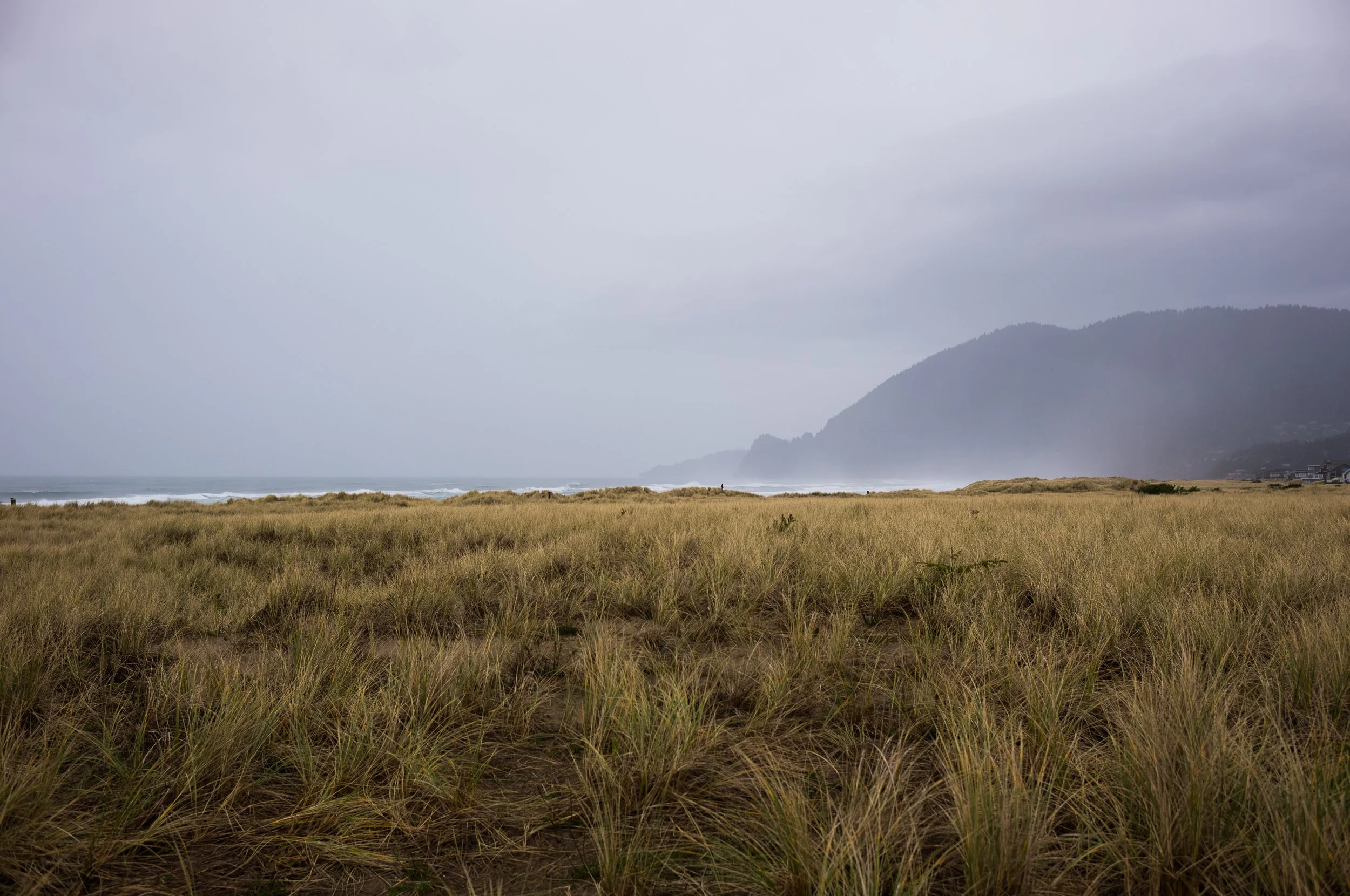 Oregon 2024 — Andrew Wyllie