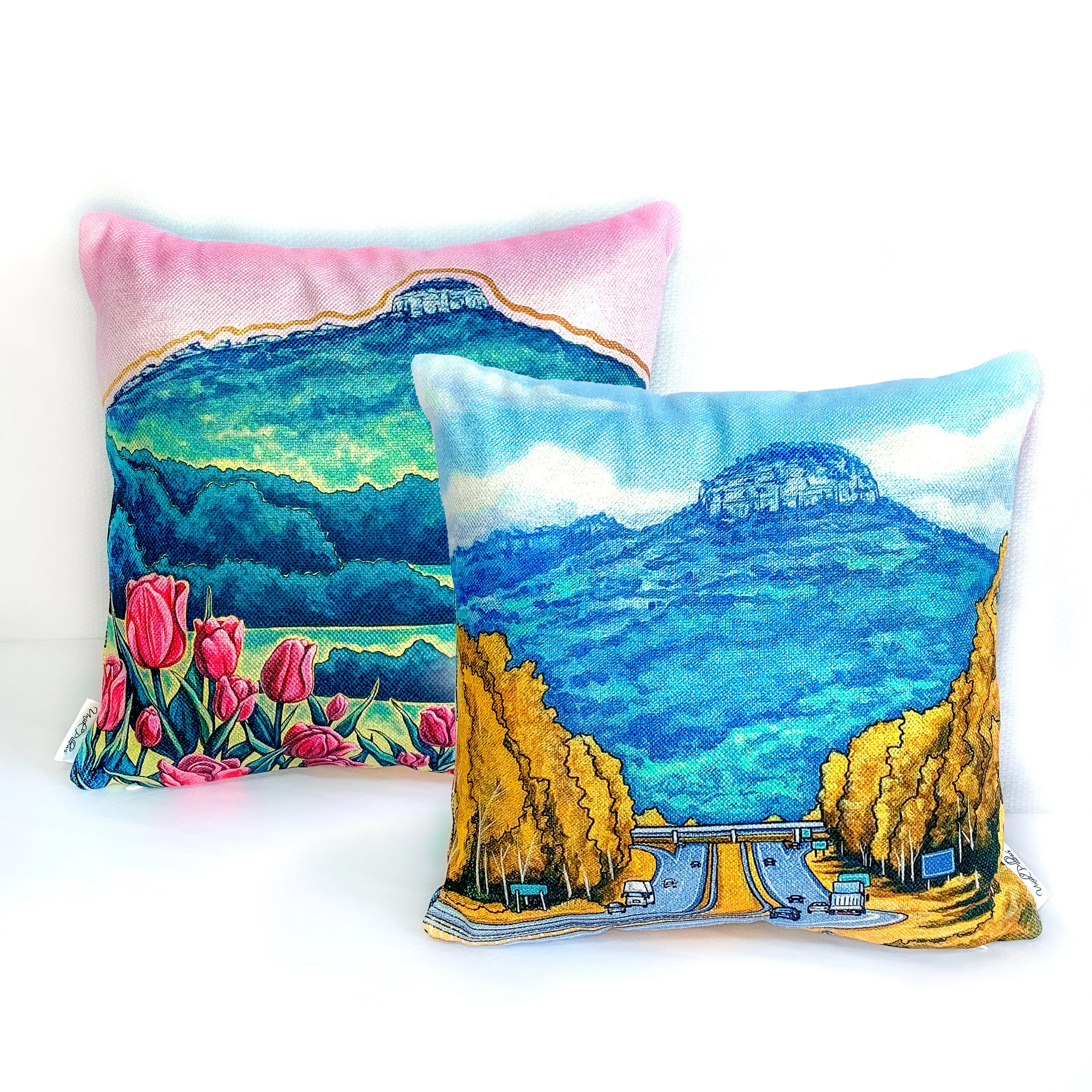 NEW! Introducing Art Pillows — Veronica Vale | Art