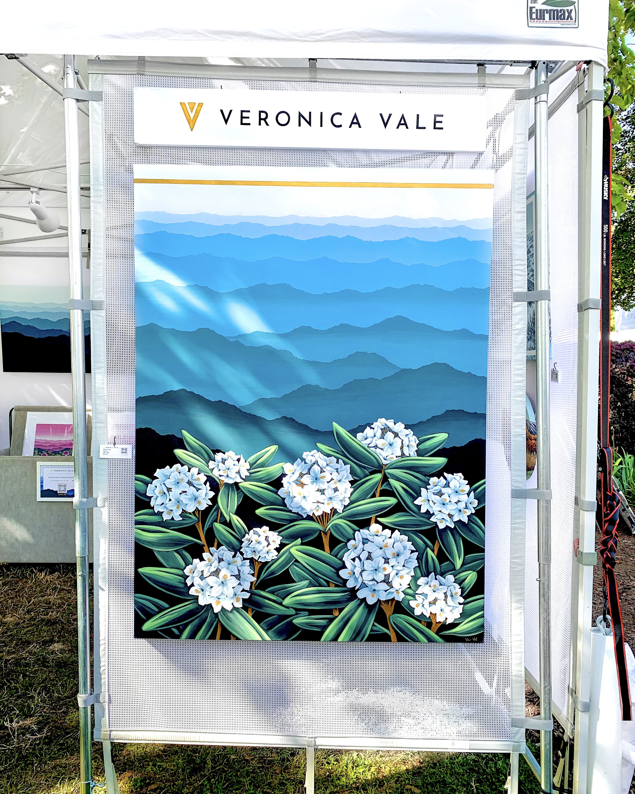 Shop — Veronica Vale | Art