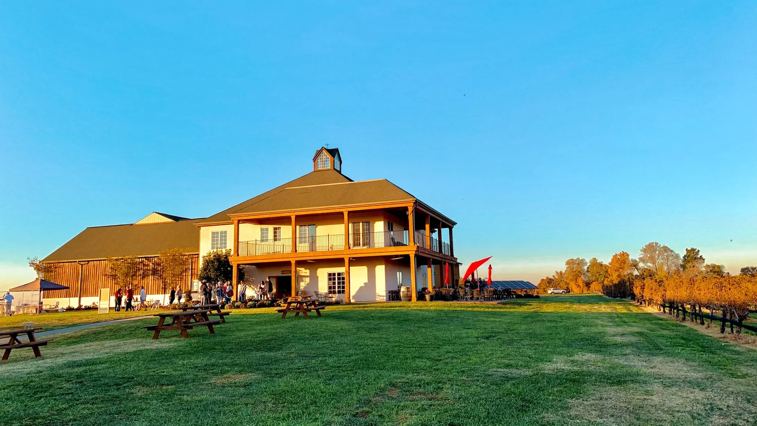 Fall Market at Raylen Vineyards 2022 | Mocksville, NC — Veronica Vale | Art