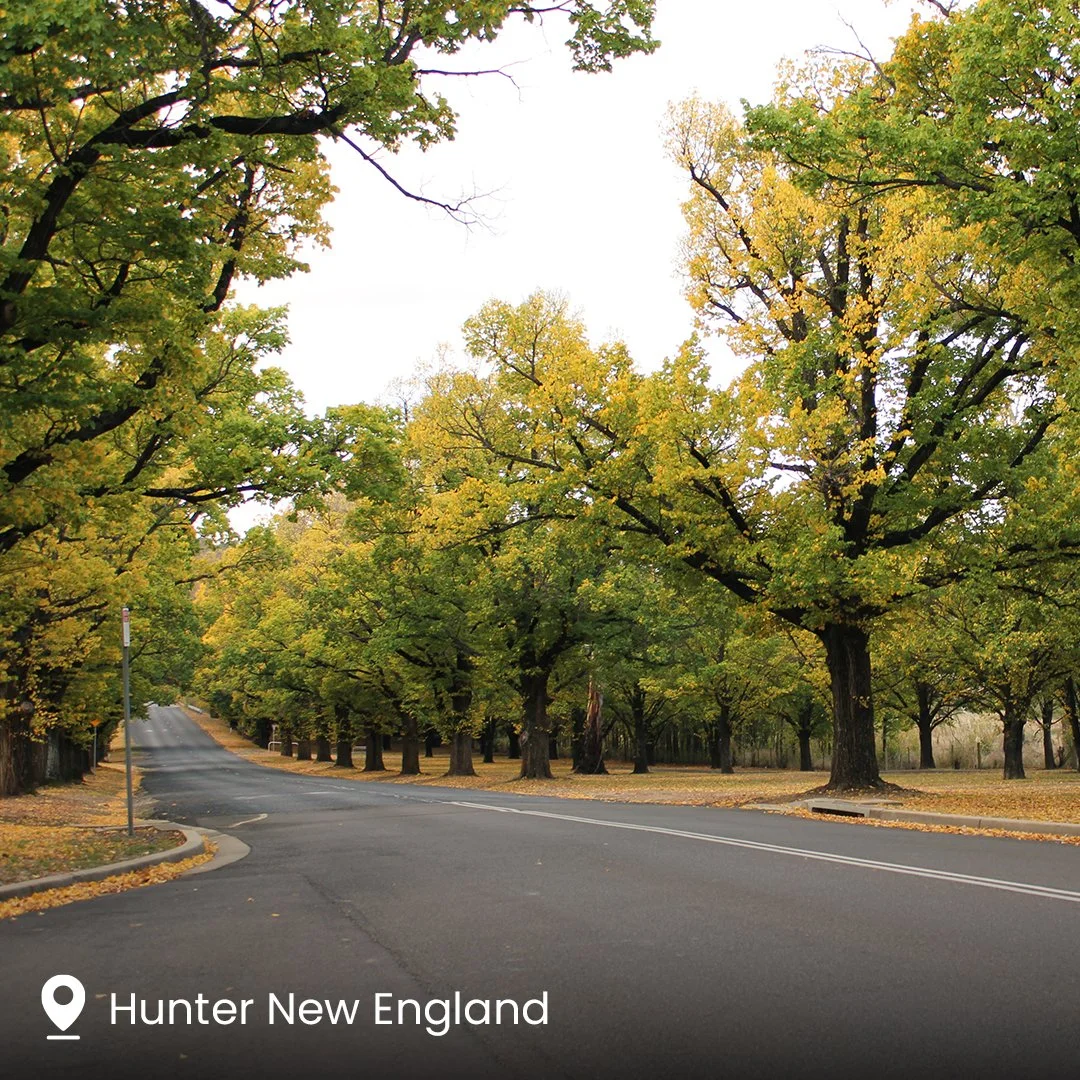 Doctor Recruitment - Medical Recruitment Agencies in Australia