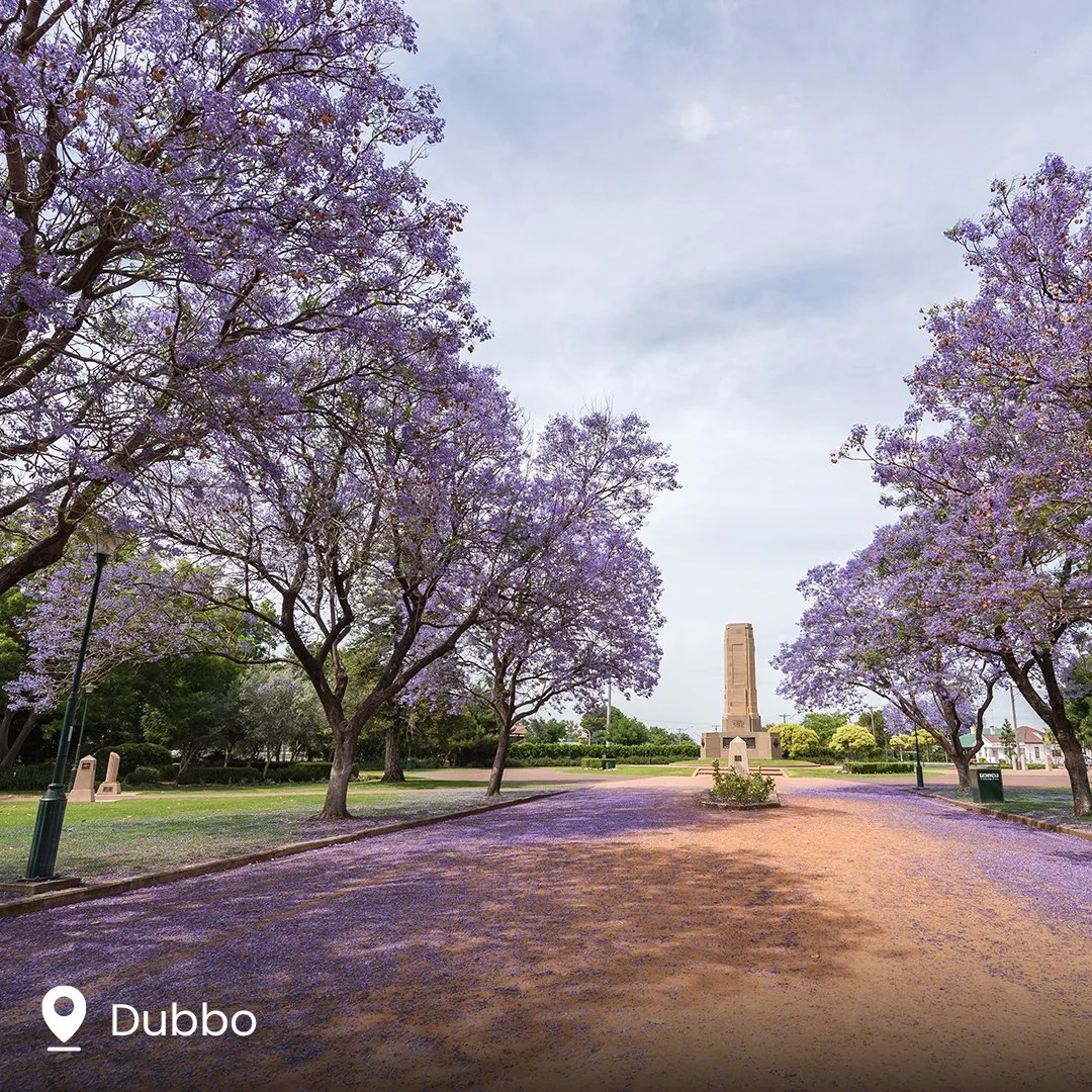 Doctor Recruitment - Medical Recruitment Agencies in Australia