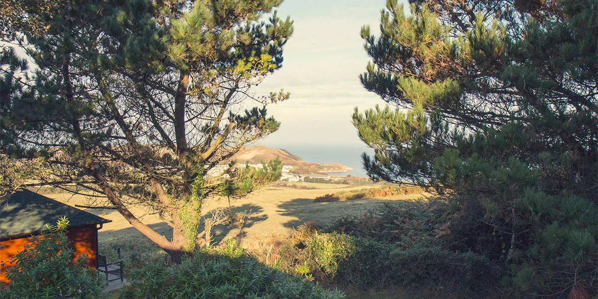 Bryn-y-mor Cottage Gower | Holiday Cottage to rent in Gower
