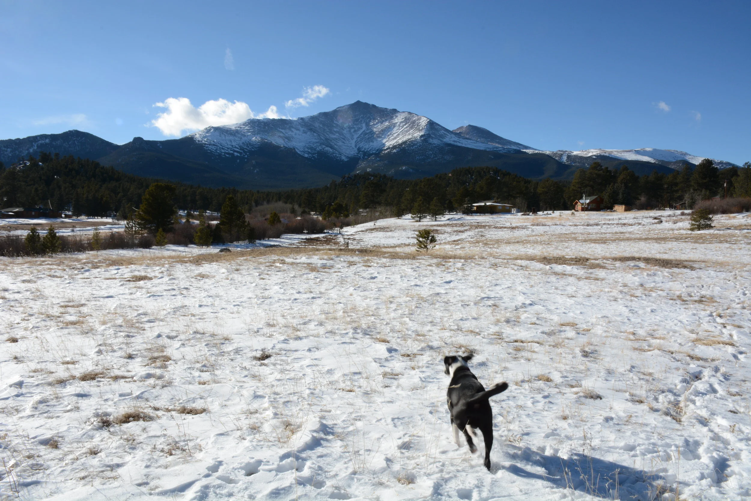 Emily Rath Orzabal — Wild