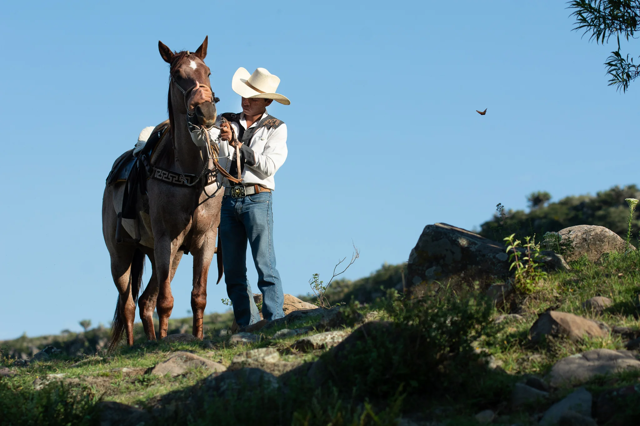 Emily Rath Orzabal — Tamed