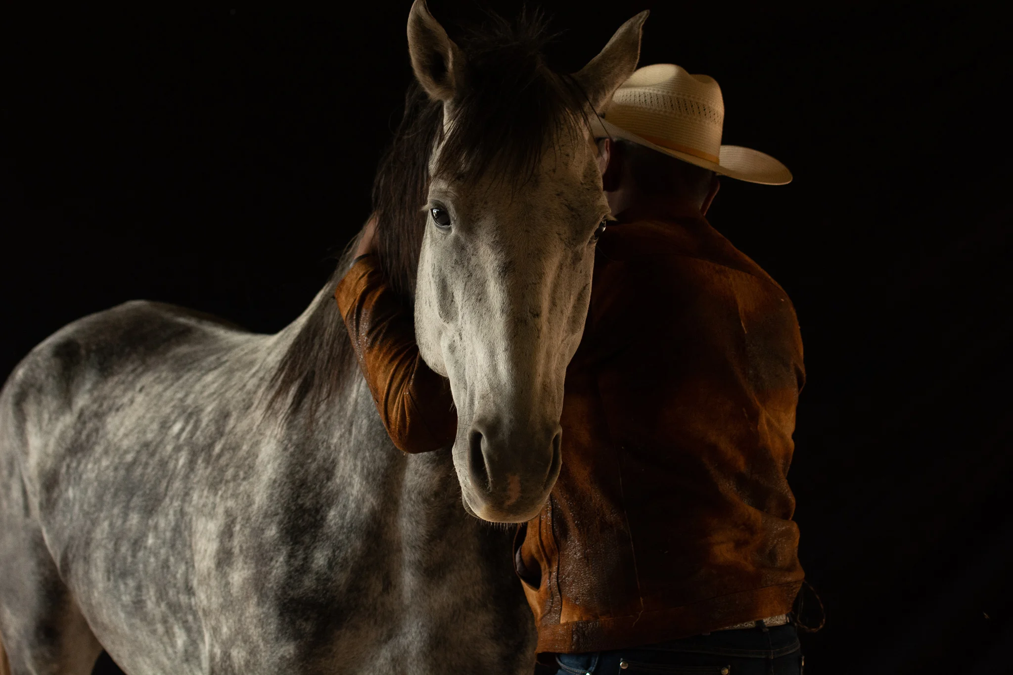 Emily Rath Orzabal — Tamed