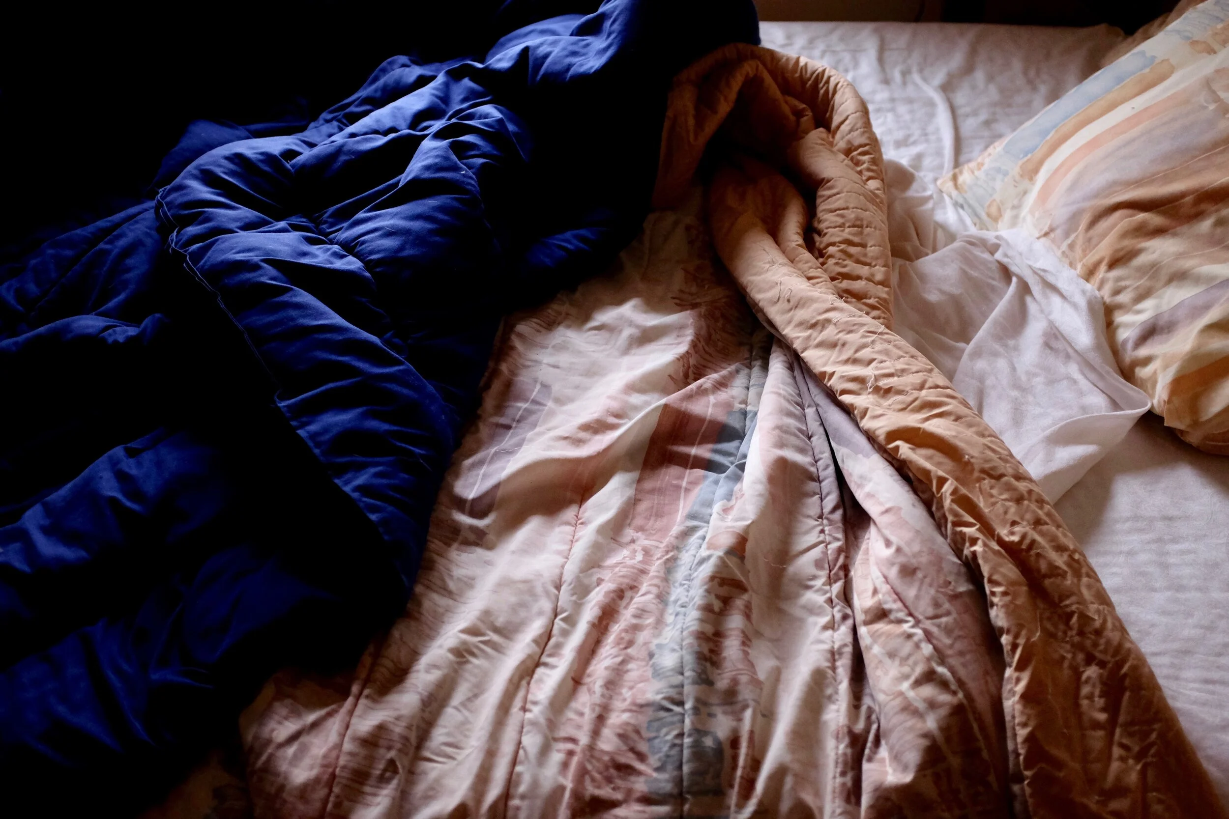 Emily Rath Orzabal — Tamed