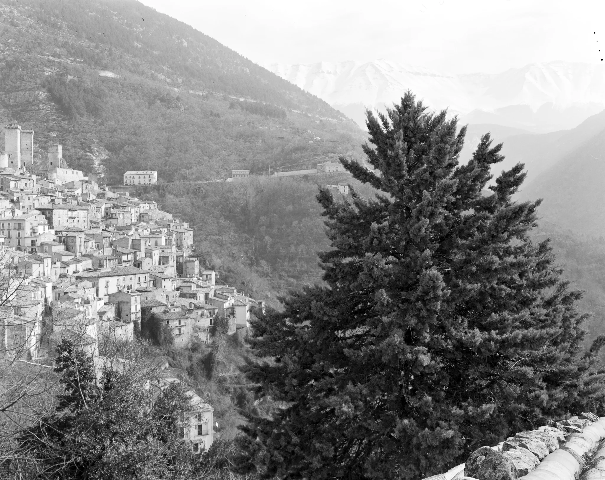 Emily Rath Orzabal — Tamed