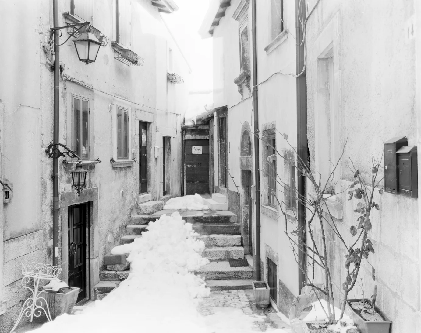 Emily Rath Orzabal — Tamed