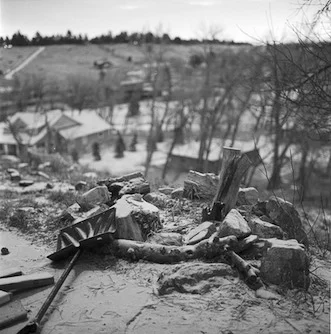 Emily Rath Orzabal — Tamed