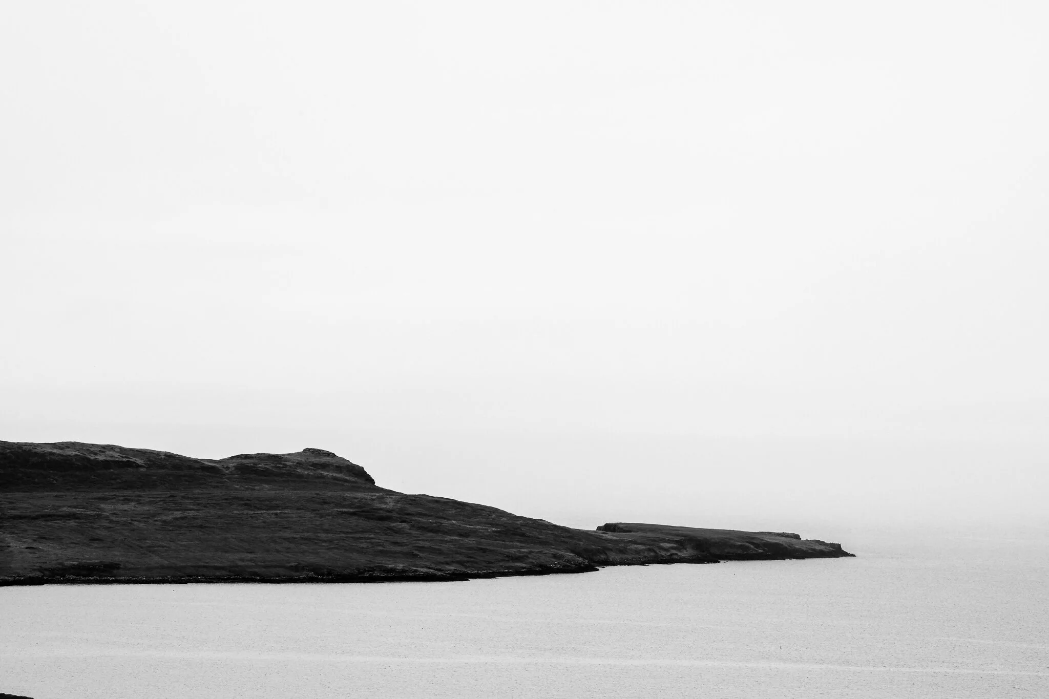 Emily Rath Orzabal — Tamed