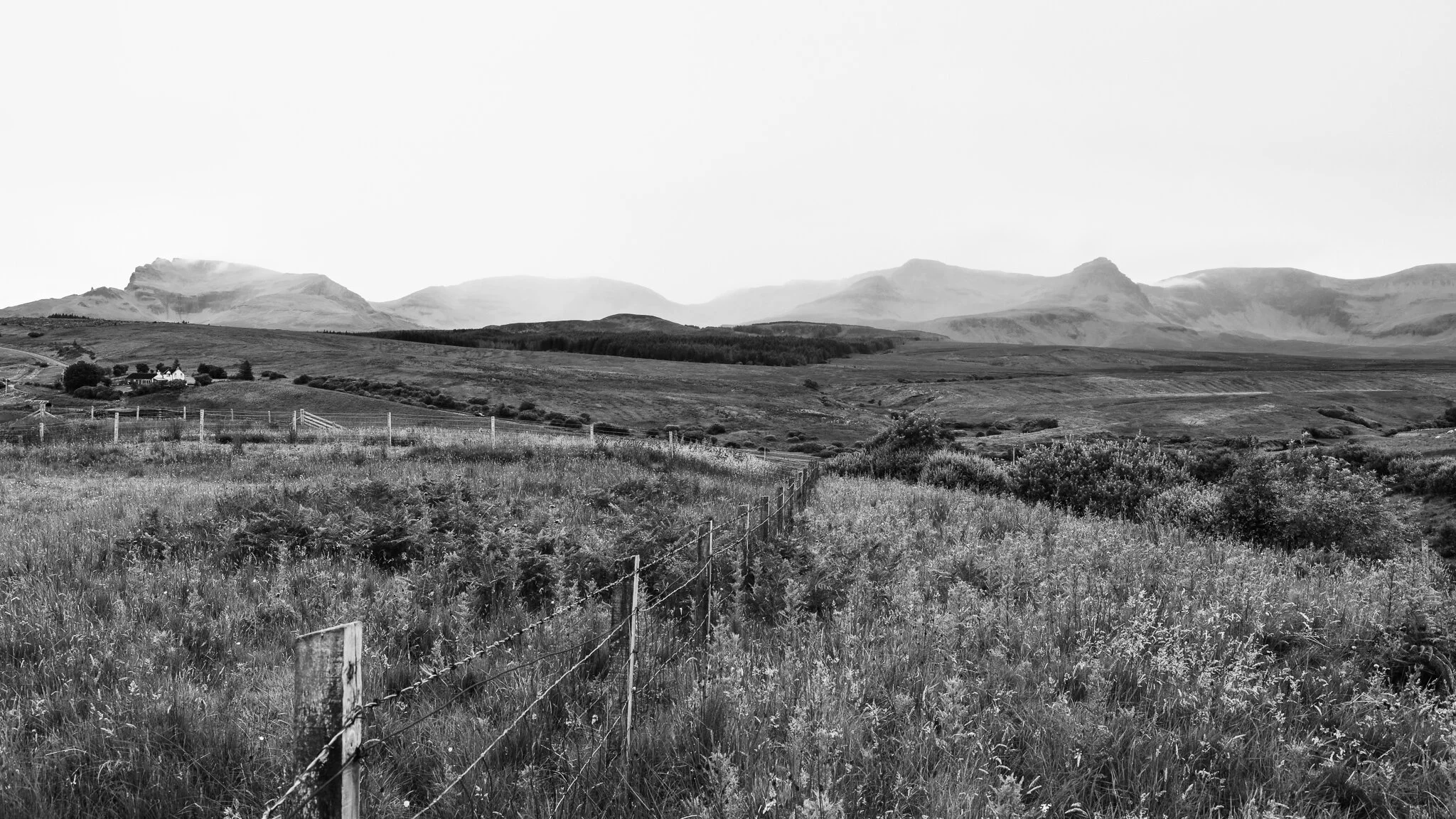 Emily Rath Orzabal — Tamed