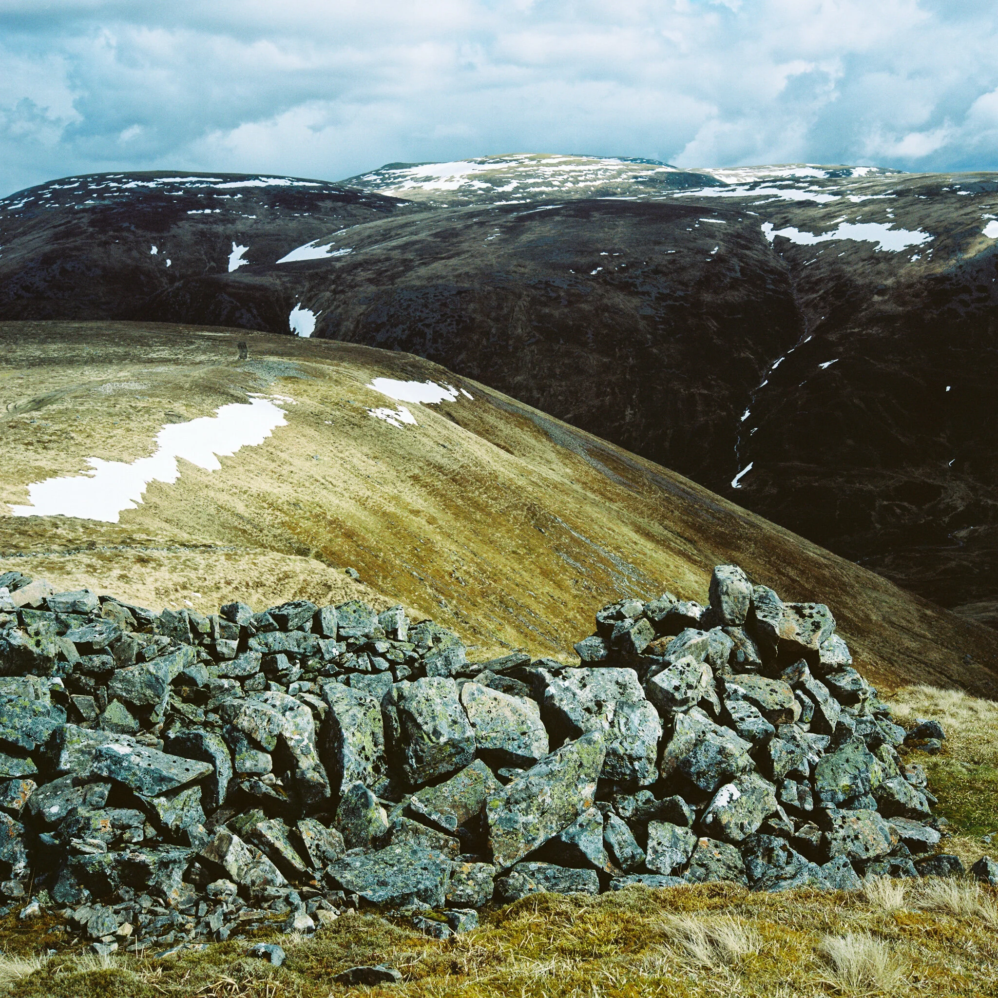 Emily Rath Orzabal — Wild