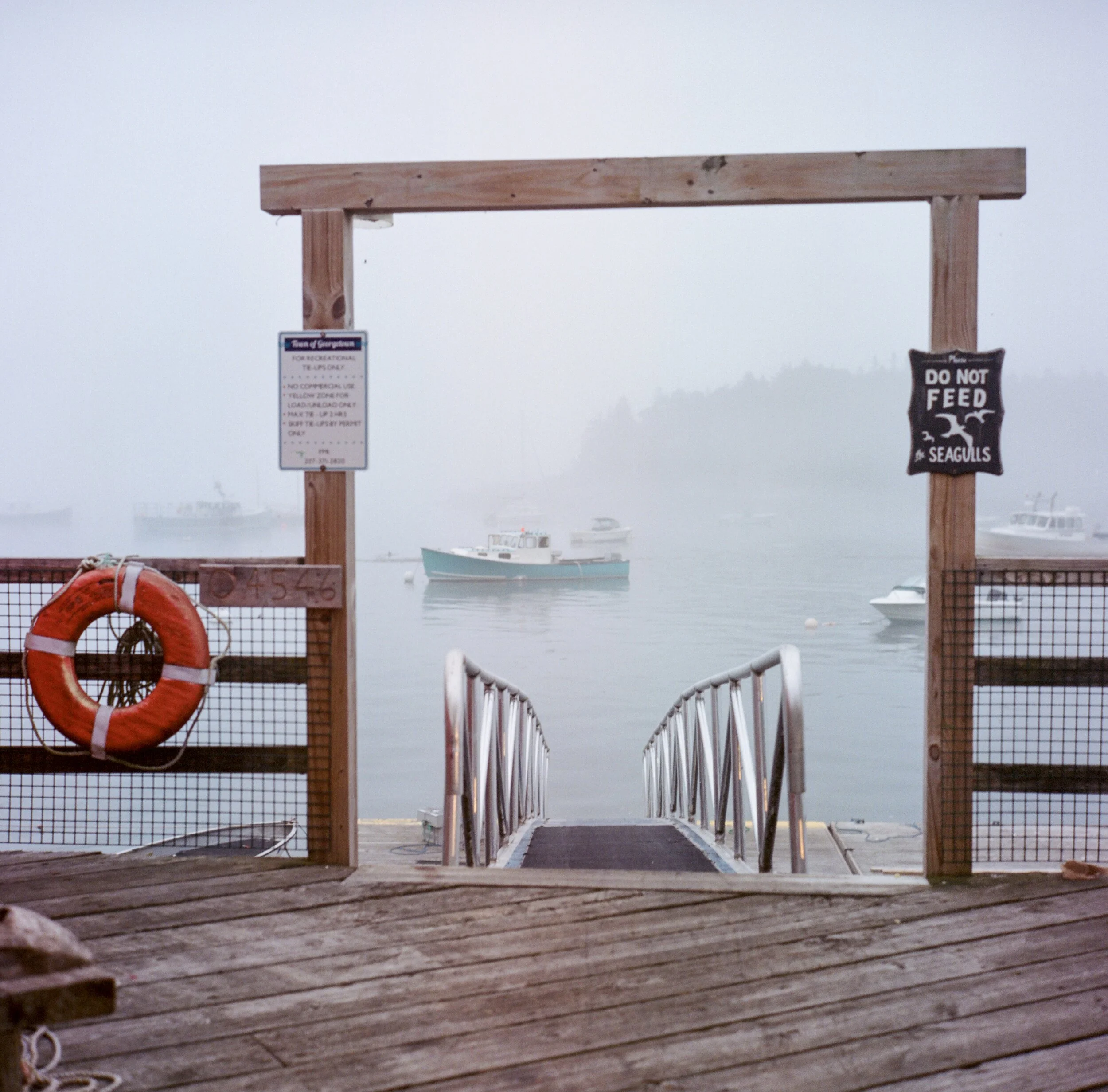 Emily Rath Orzabal — Tamed