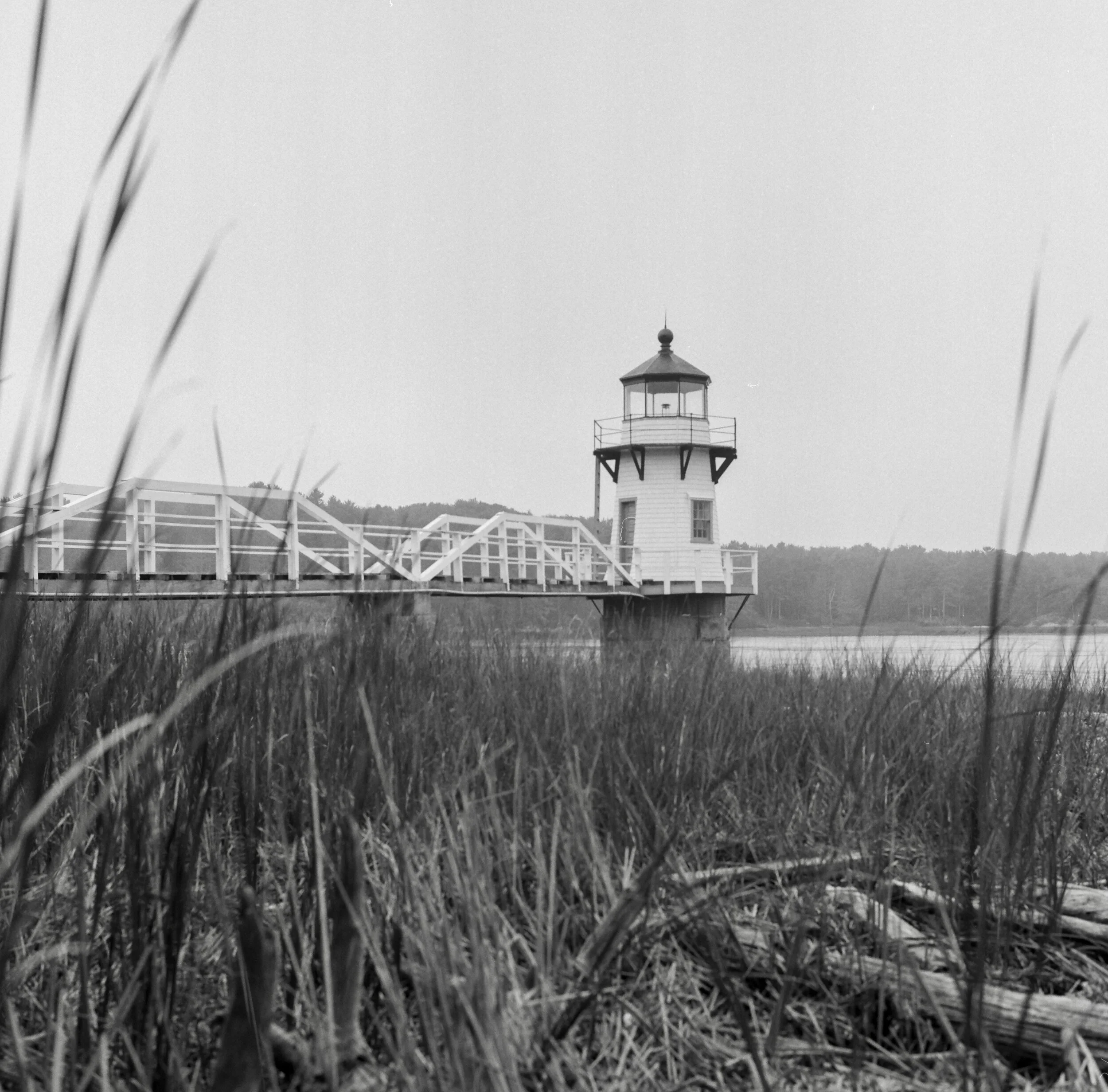 Emily Rath Orzabal — Tamed