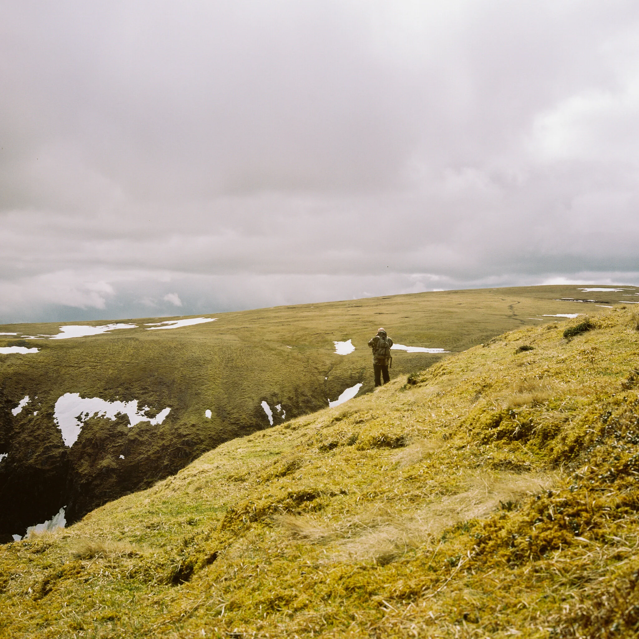 Emily Rath Orzabal — Tamed