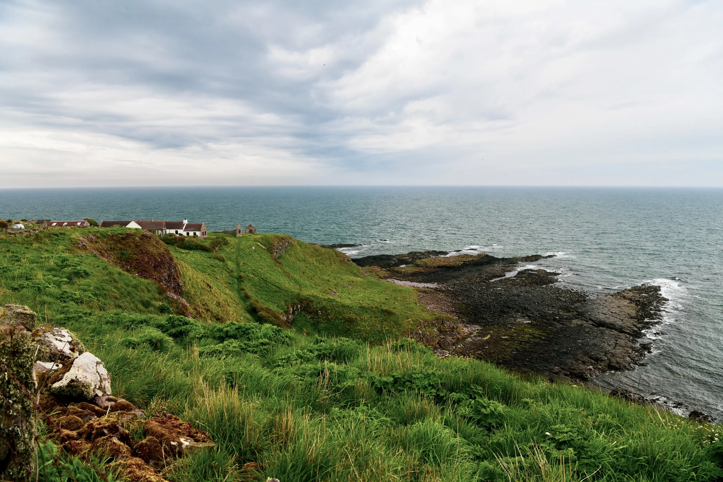 Emily Rath Orzabal — Tamed