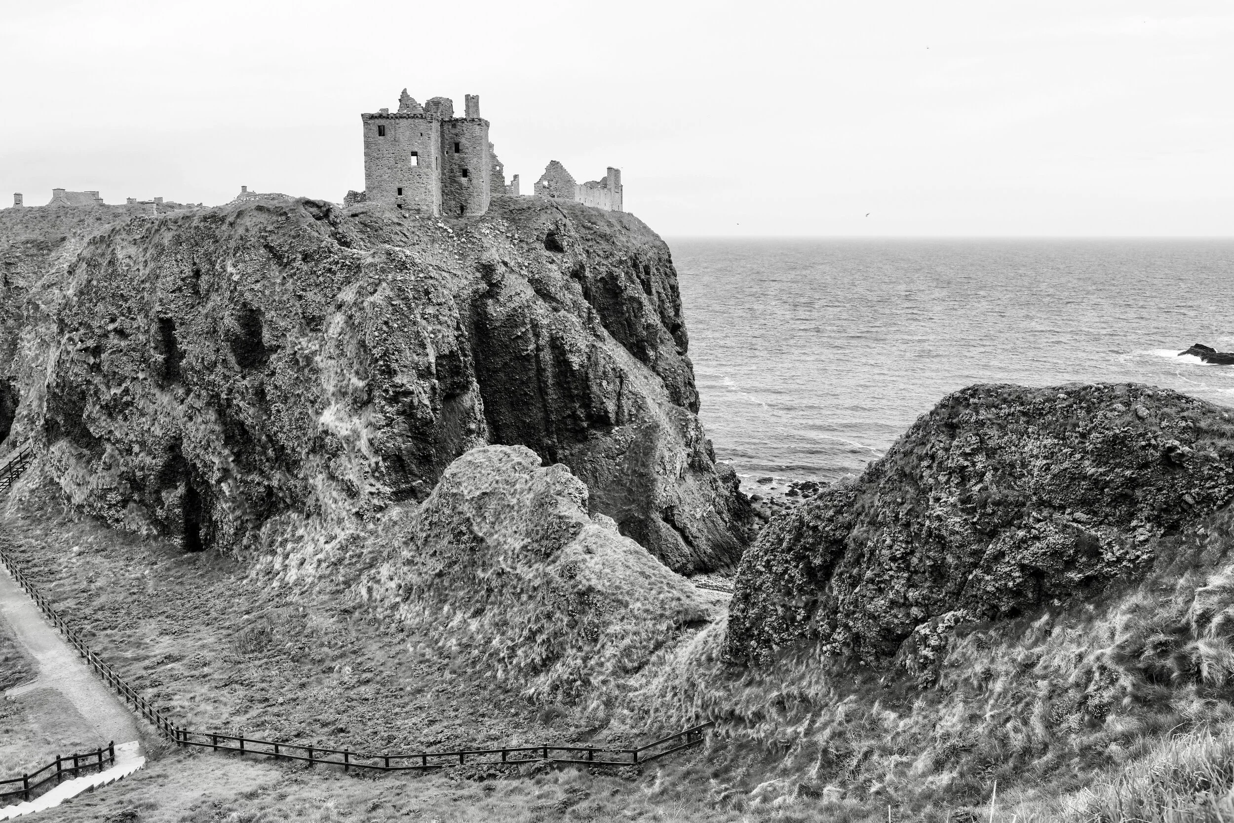 Emily Rath Orzabal — Tamed