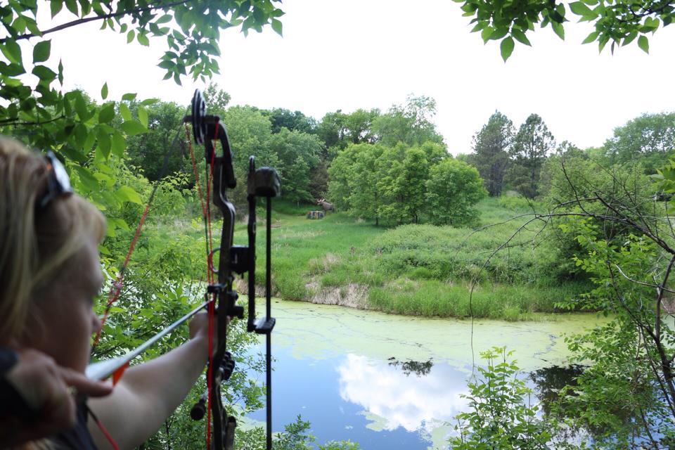 WHITETAIL BOWMEN ARCHERY CLUB