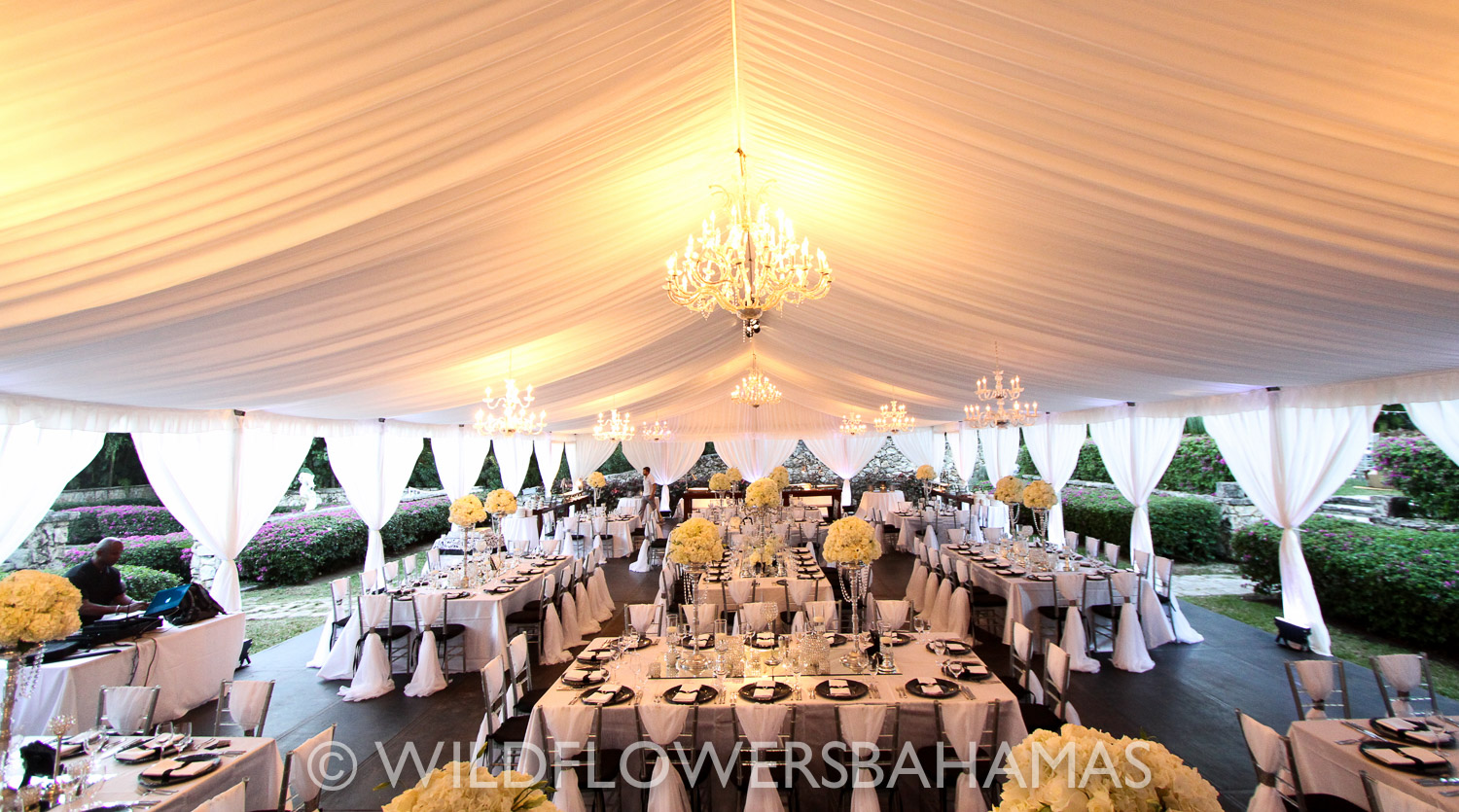 Receptions — Wildflowers Events & Occasions