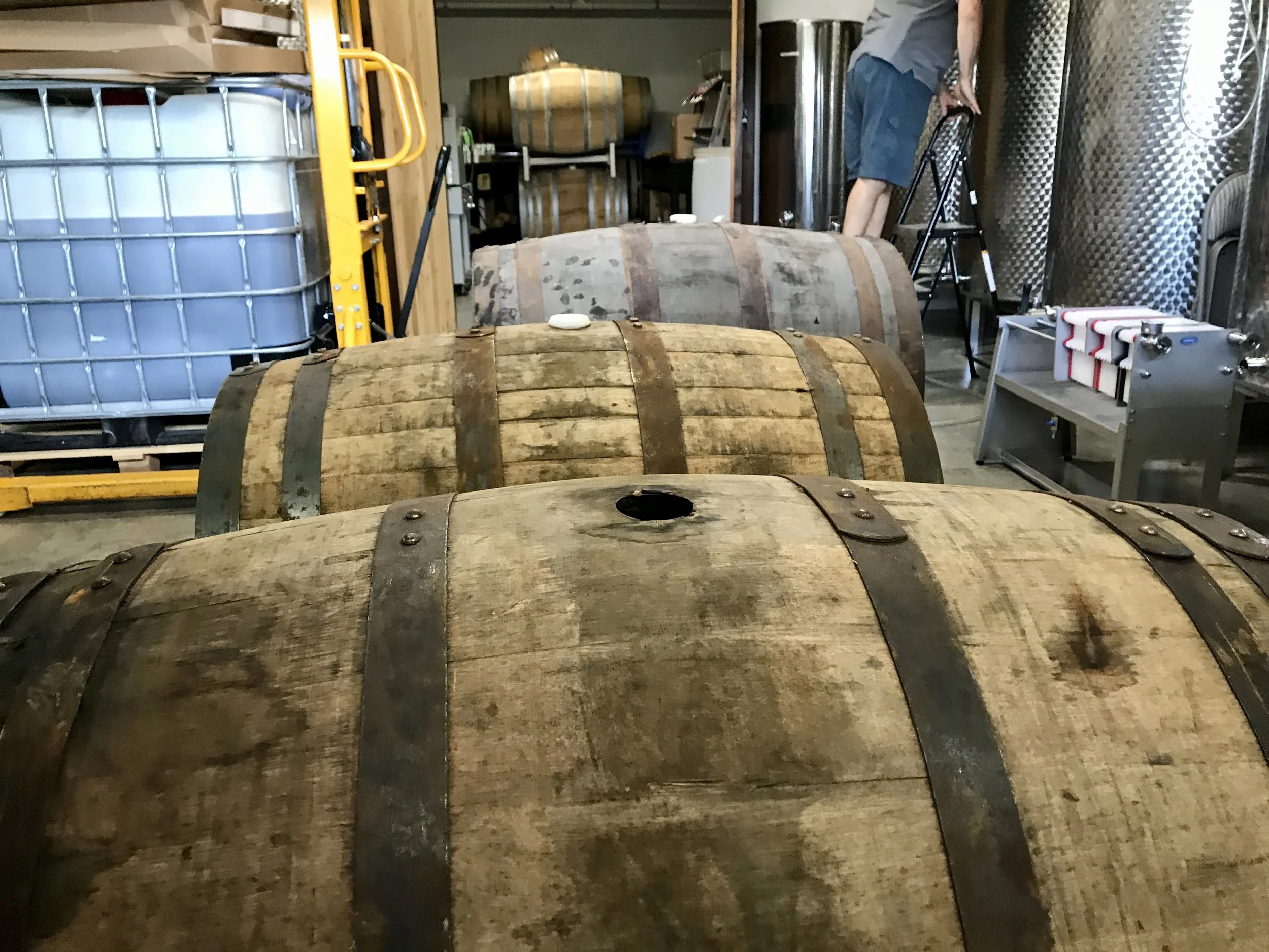 Events — Orchid Cellar Meadery & Winery