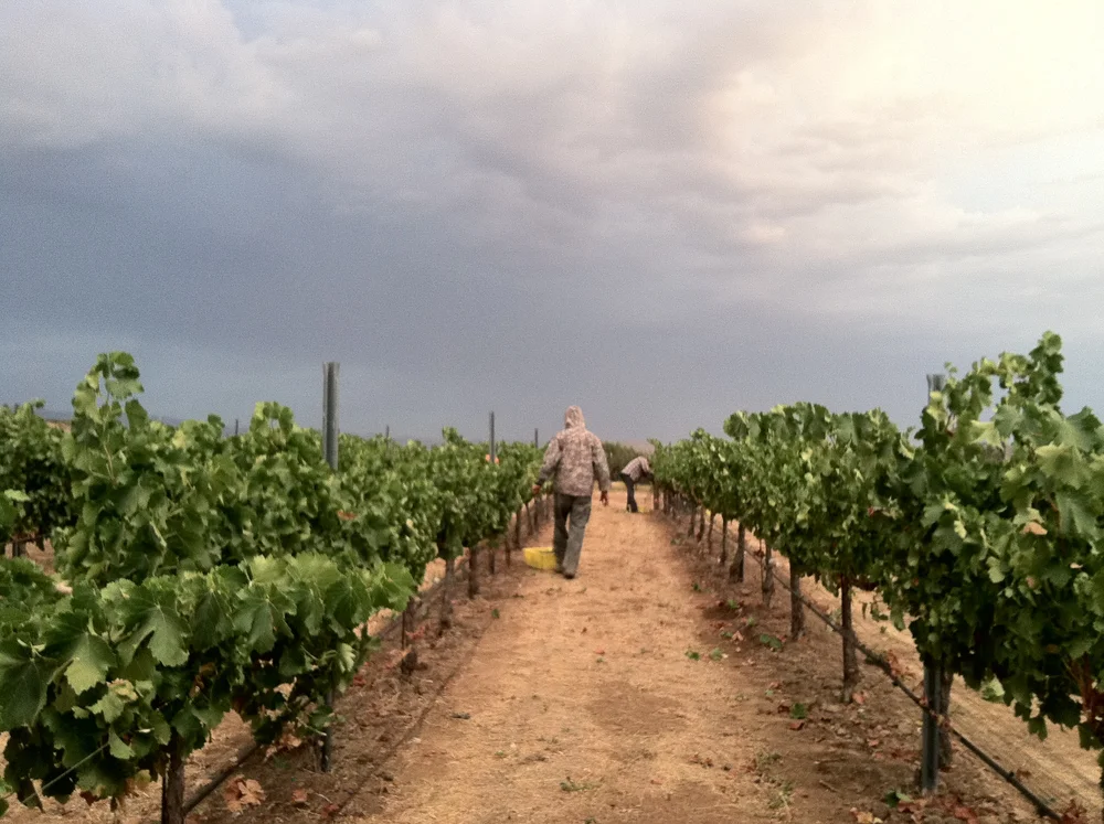 J. Brix Wines