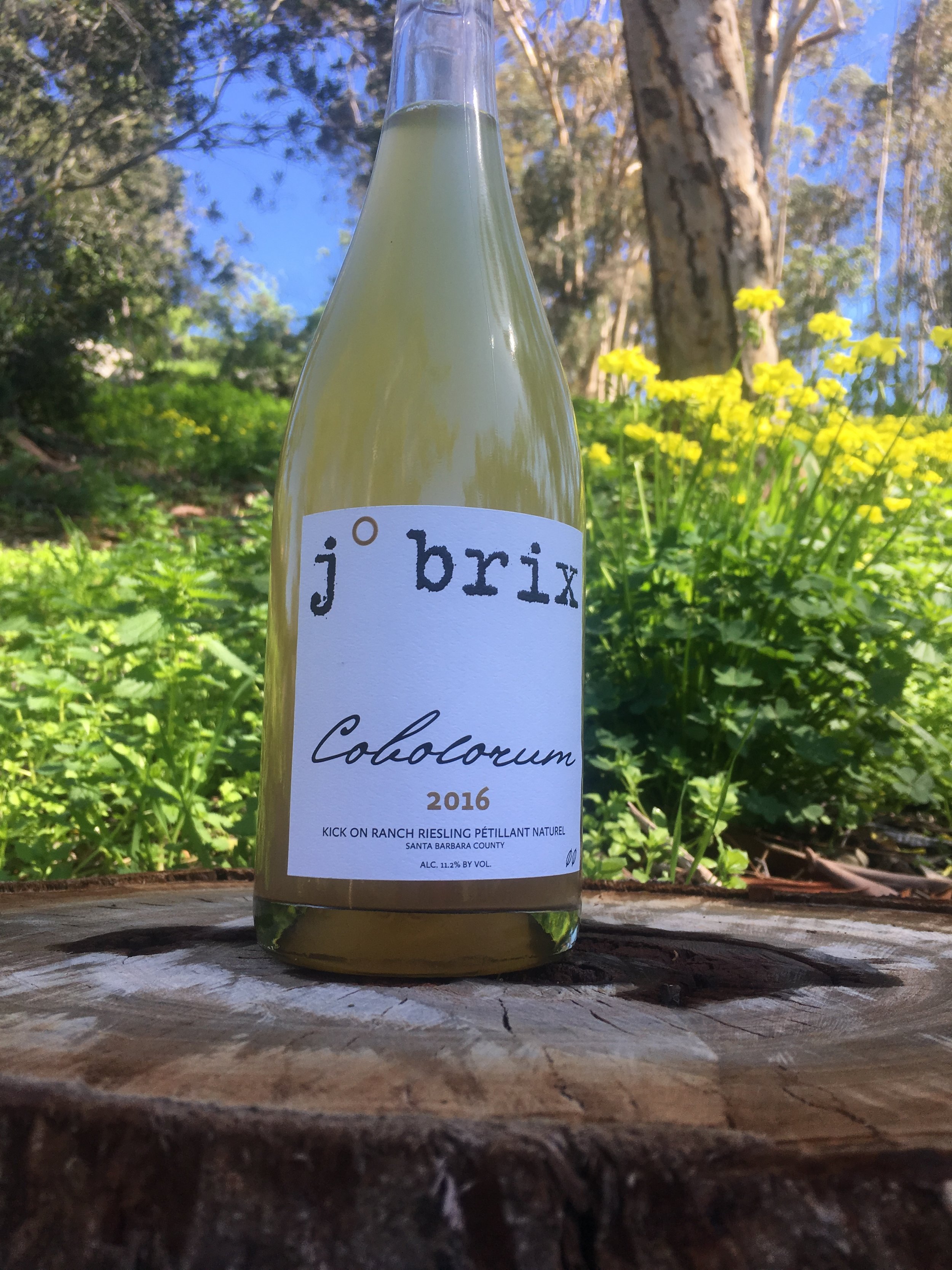 Shop — J. Brix Wines