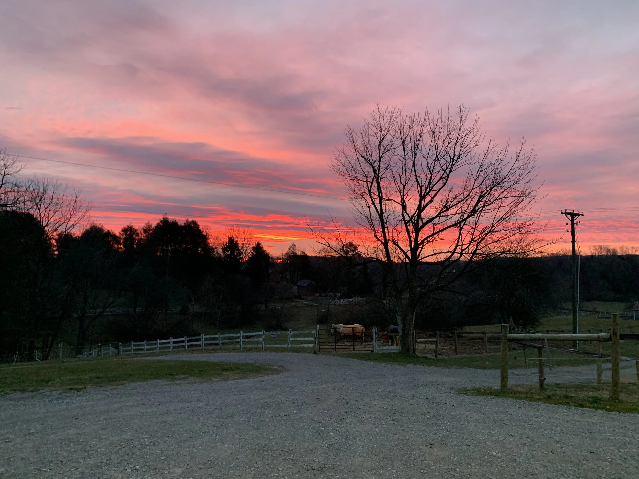 Walnut Spring Stables