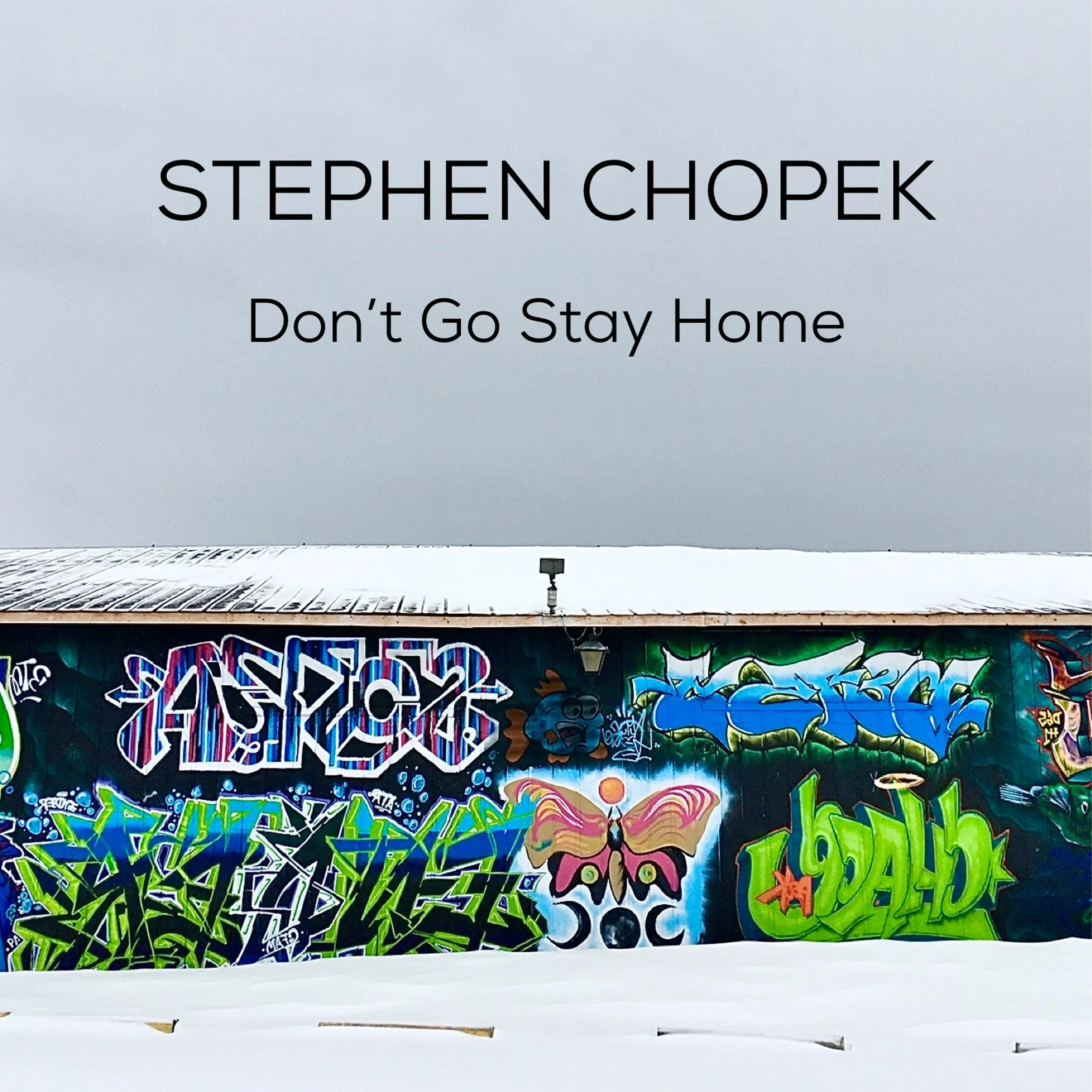 Don't Go Stay Home — STEPHEN CHOPEK