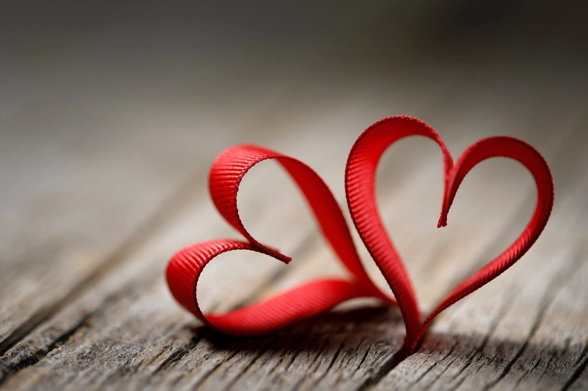 Professional Corporate & Commercial Photographer | Penny Bird