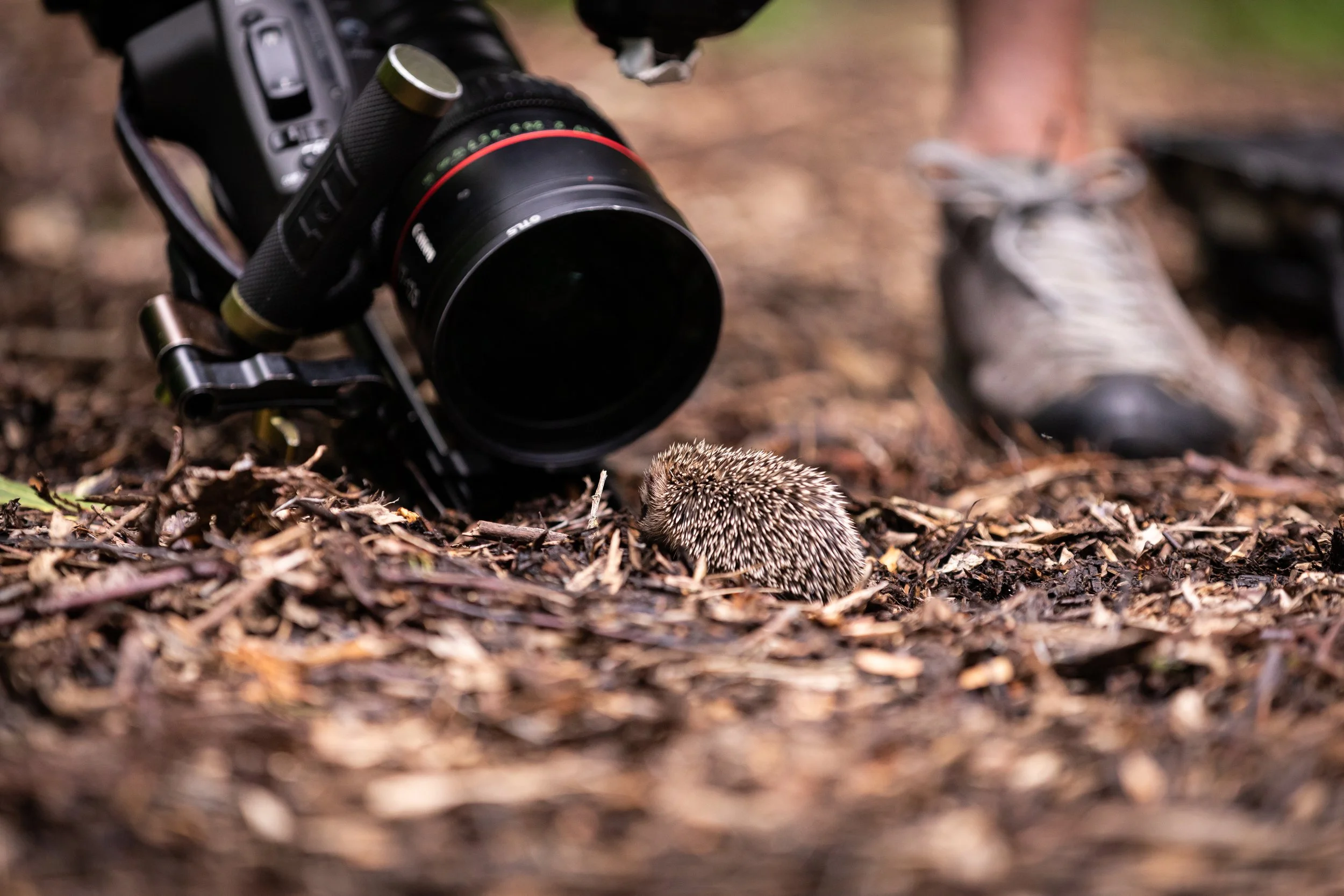 Professional Corporate & Commercial Photographer | Penny Bird