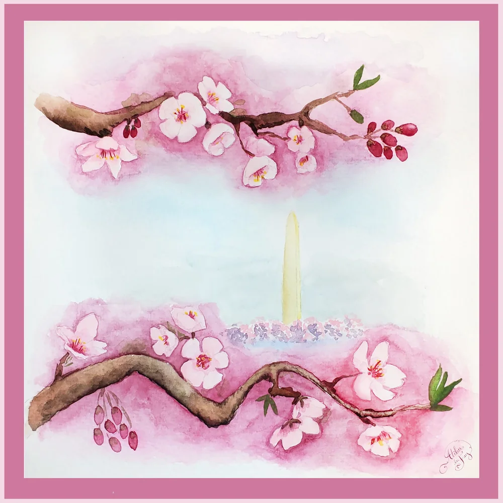 Watercolor Paintings Of Cherry Blossoms