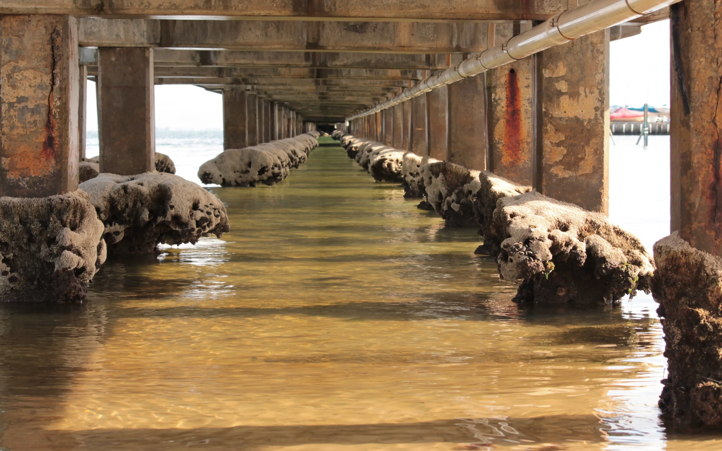 Tracey Donaldson Psychological and Counselling Services