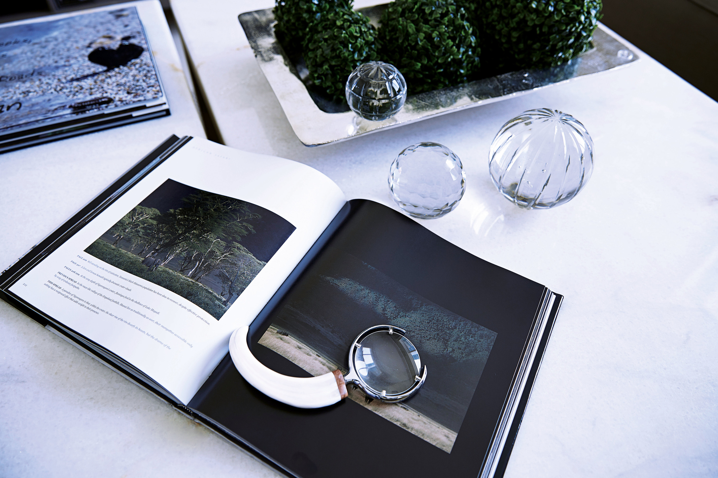 Preston Nichole Design