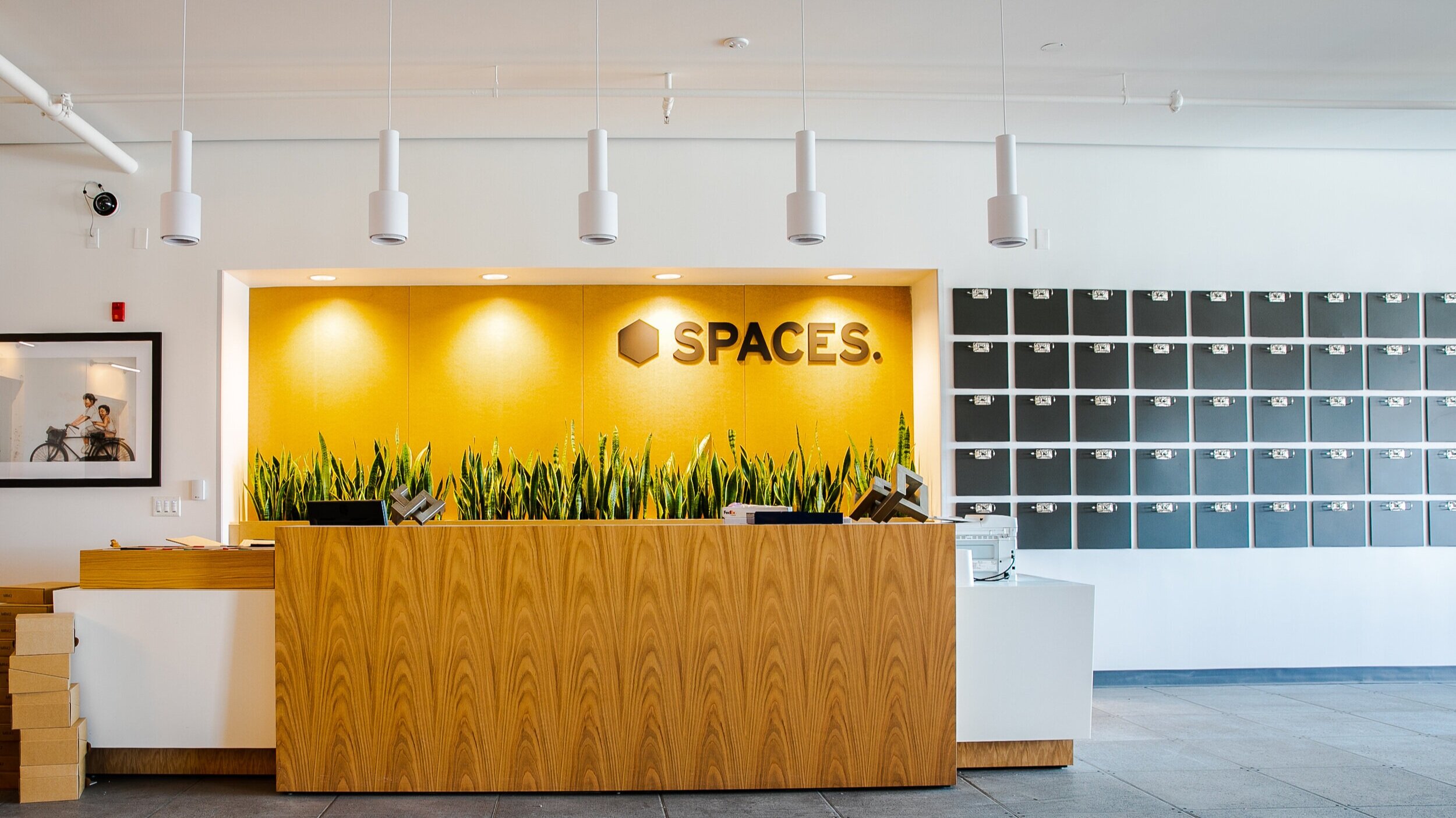 Fox Contracting Ltd.