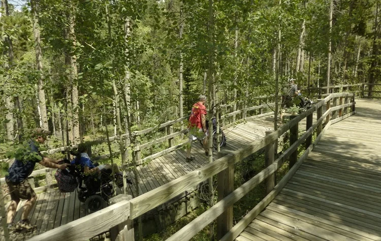 Hiking — Wilderness on Wheels