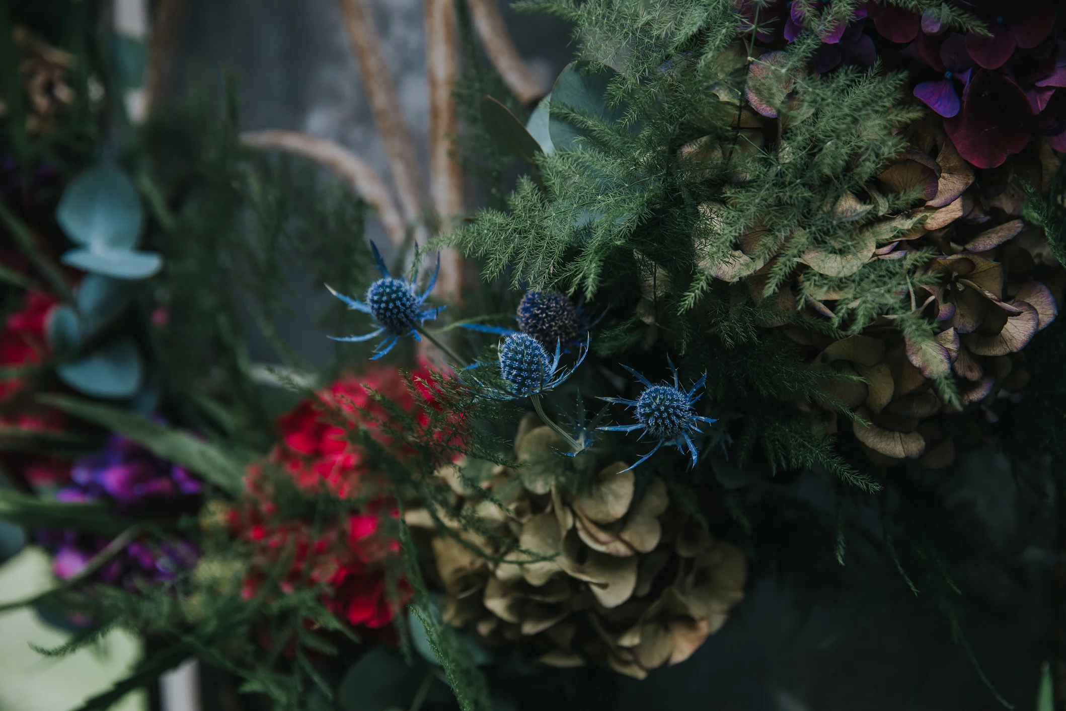 Oops A Daisy Flowers Norwich | Best Flower Site