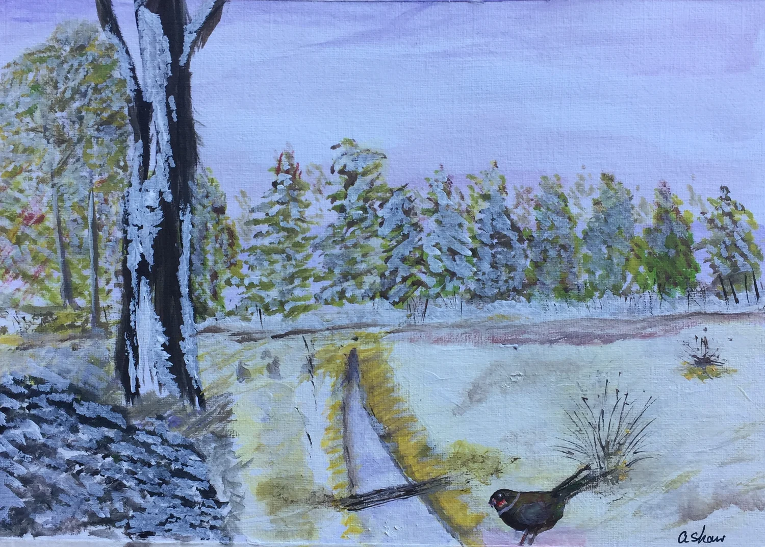 Golborne and Lowton Art Group — Ann Shaw