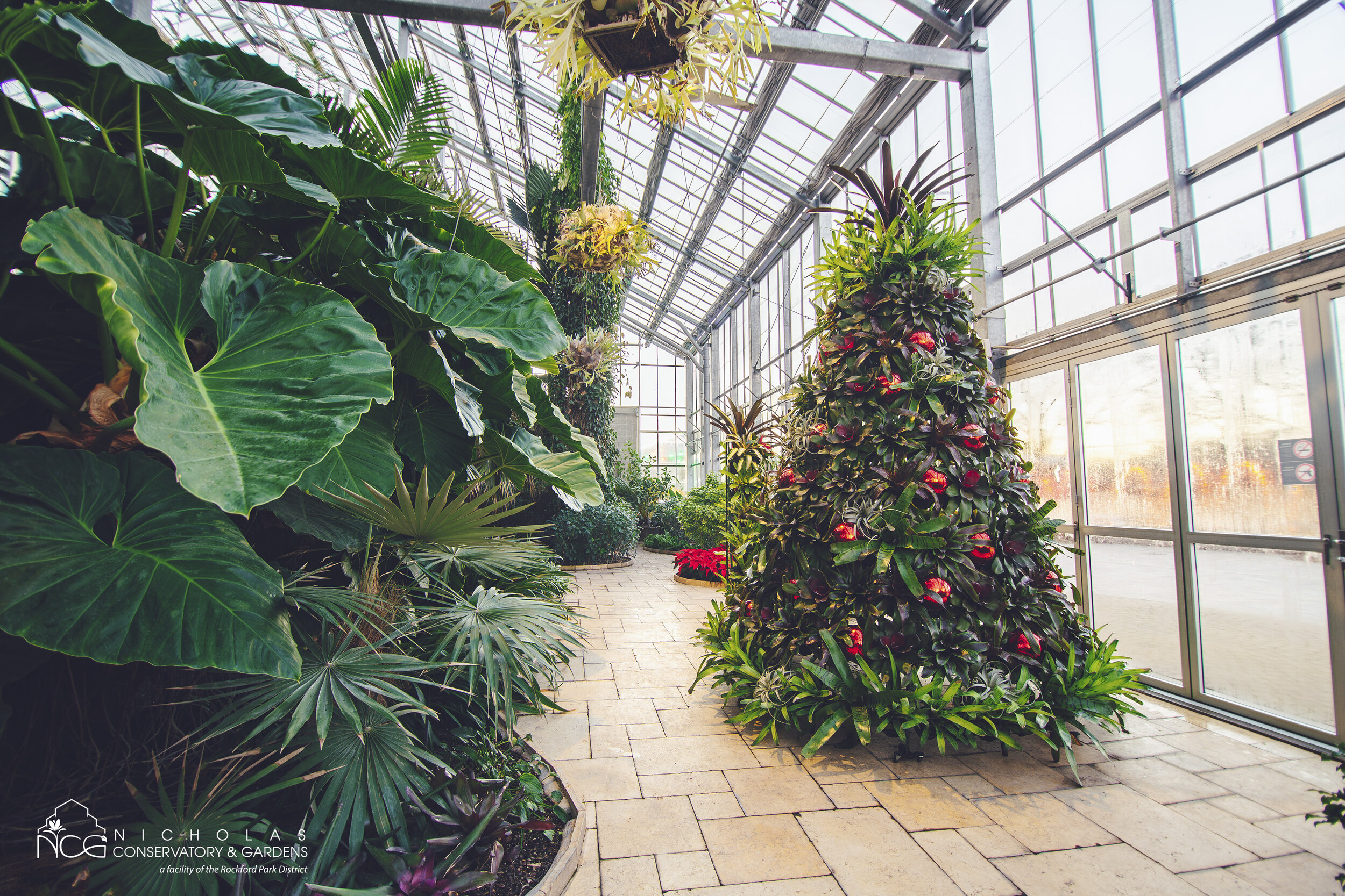 Desktop Backgrounds — Nicholas Conservatory & Gardens