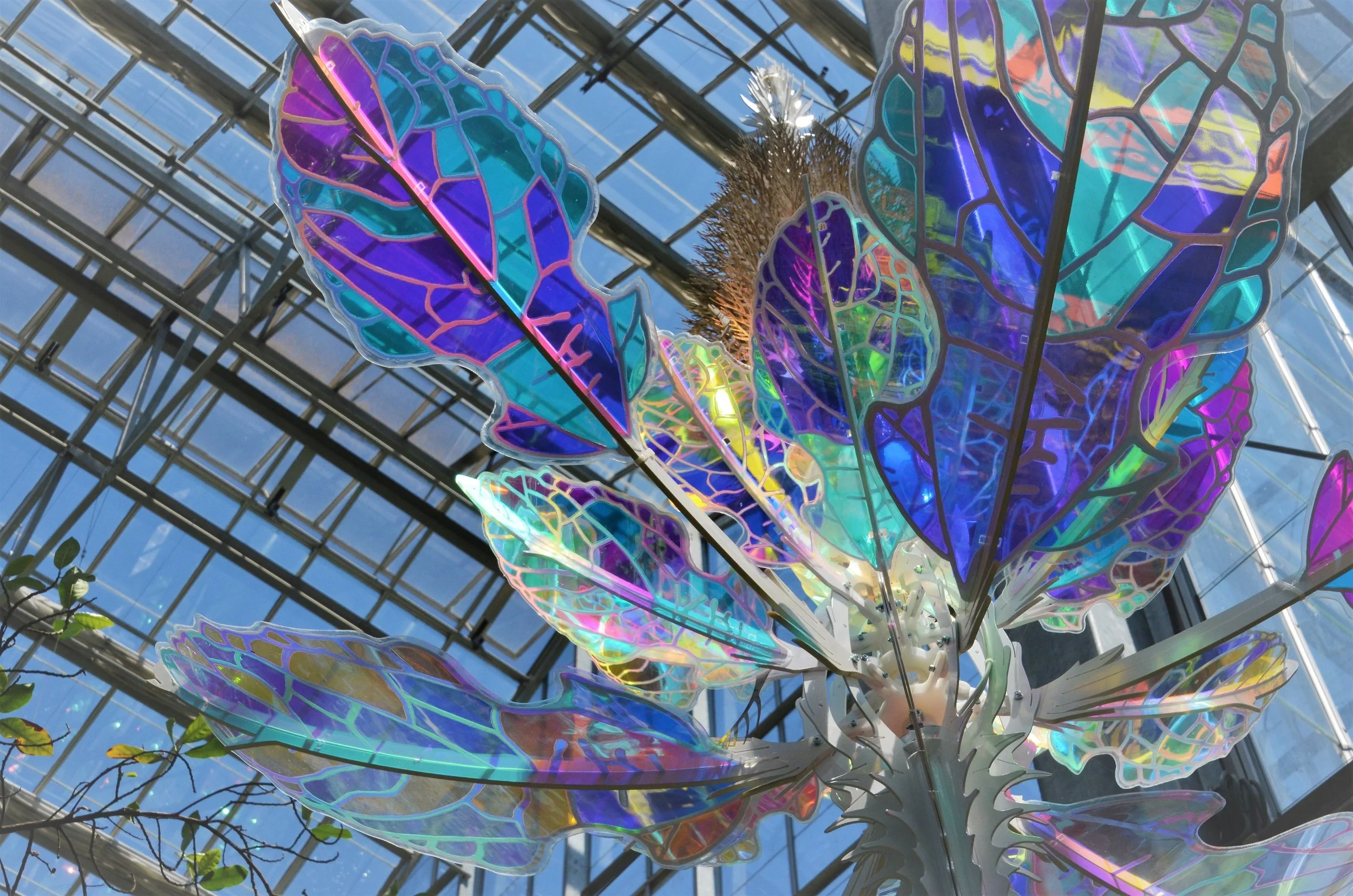 About Nicholas Conservatory — Nicholas Conservatory & Gardens